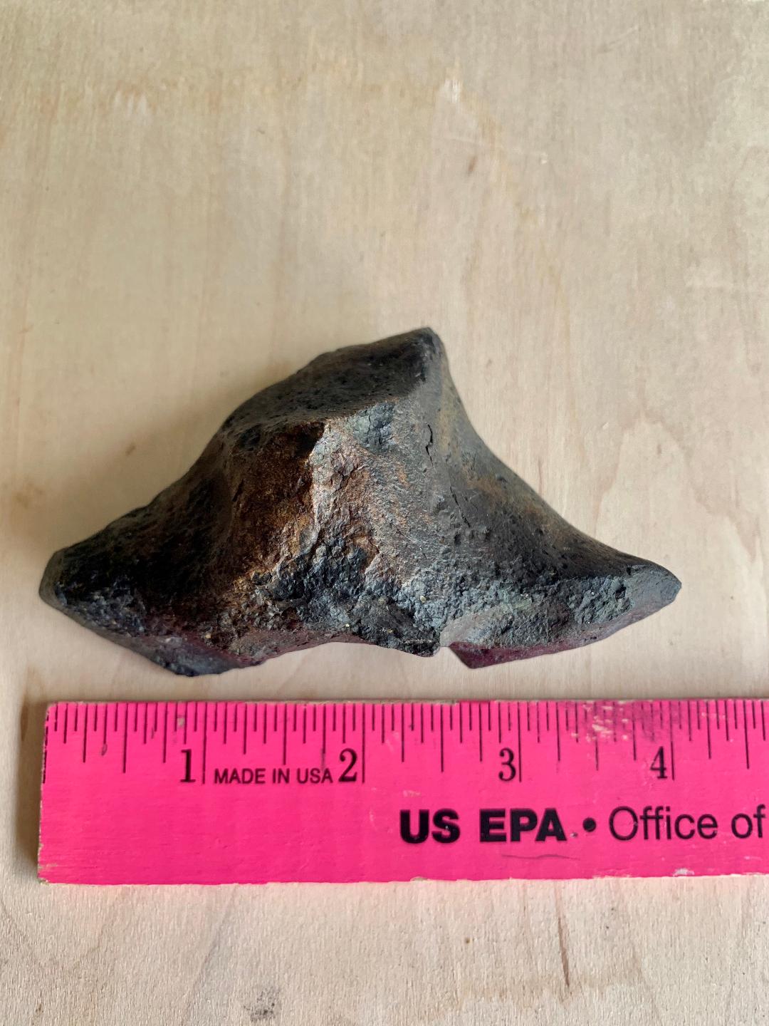 Bone or suggestive shape? - Fossil ID - The Fossil Forum