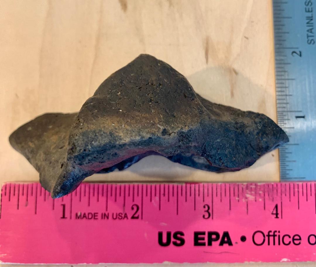Bone or suggestive shape? - Fossil ID - The Fossil Forum