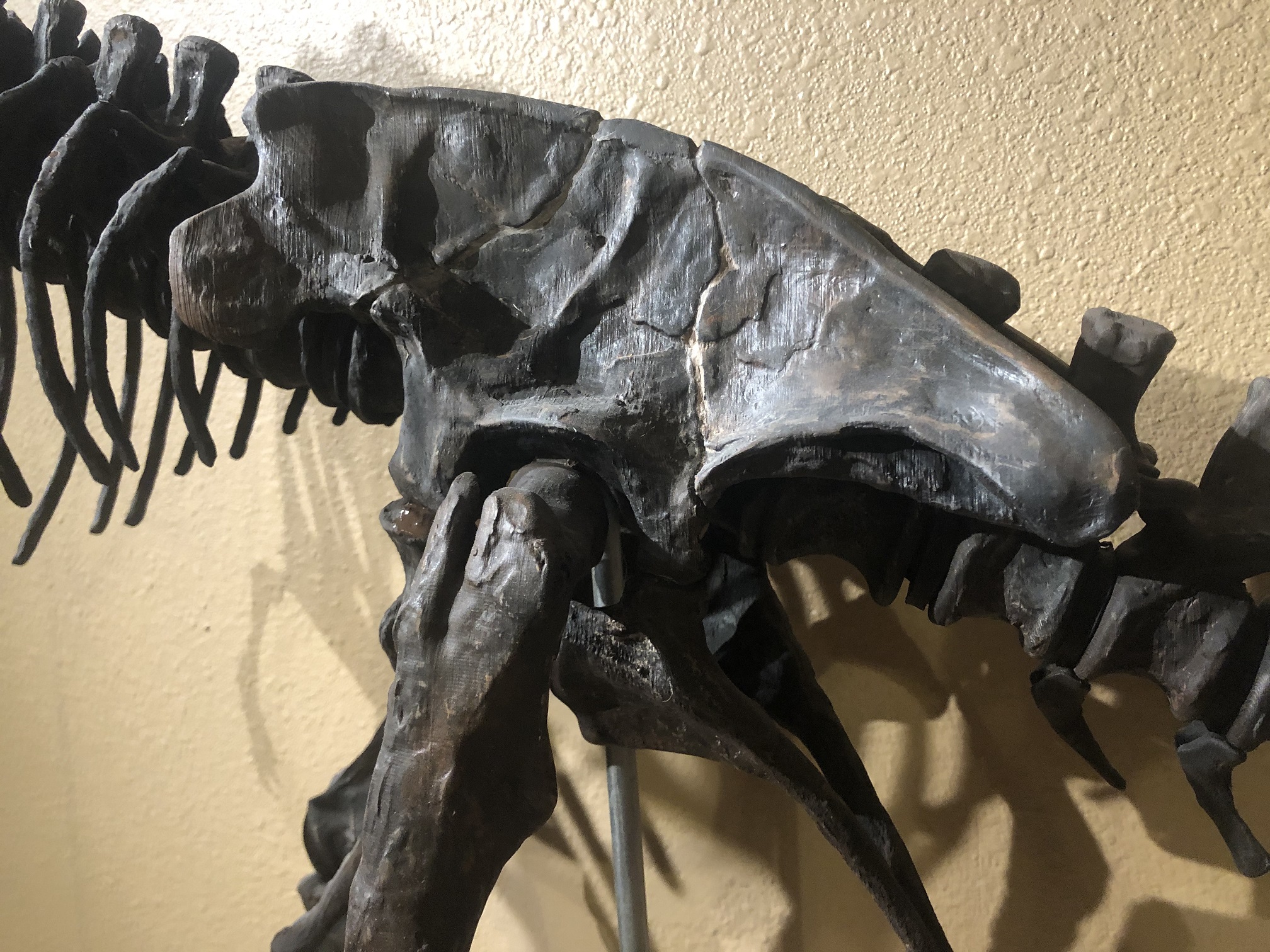Baby T-rex 3d print - Paleo Re-creations - The Fossil Forum