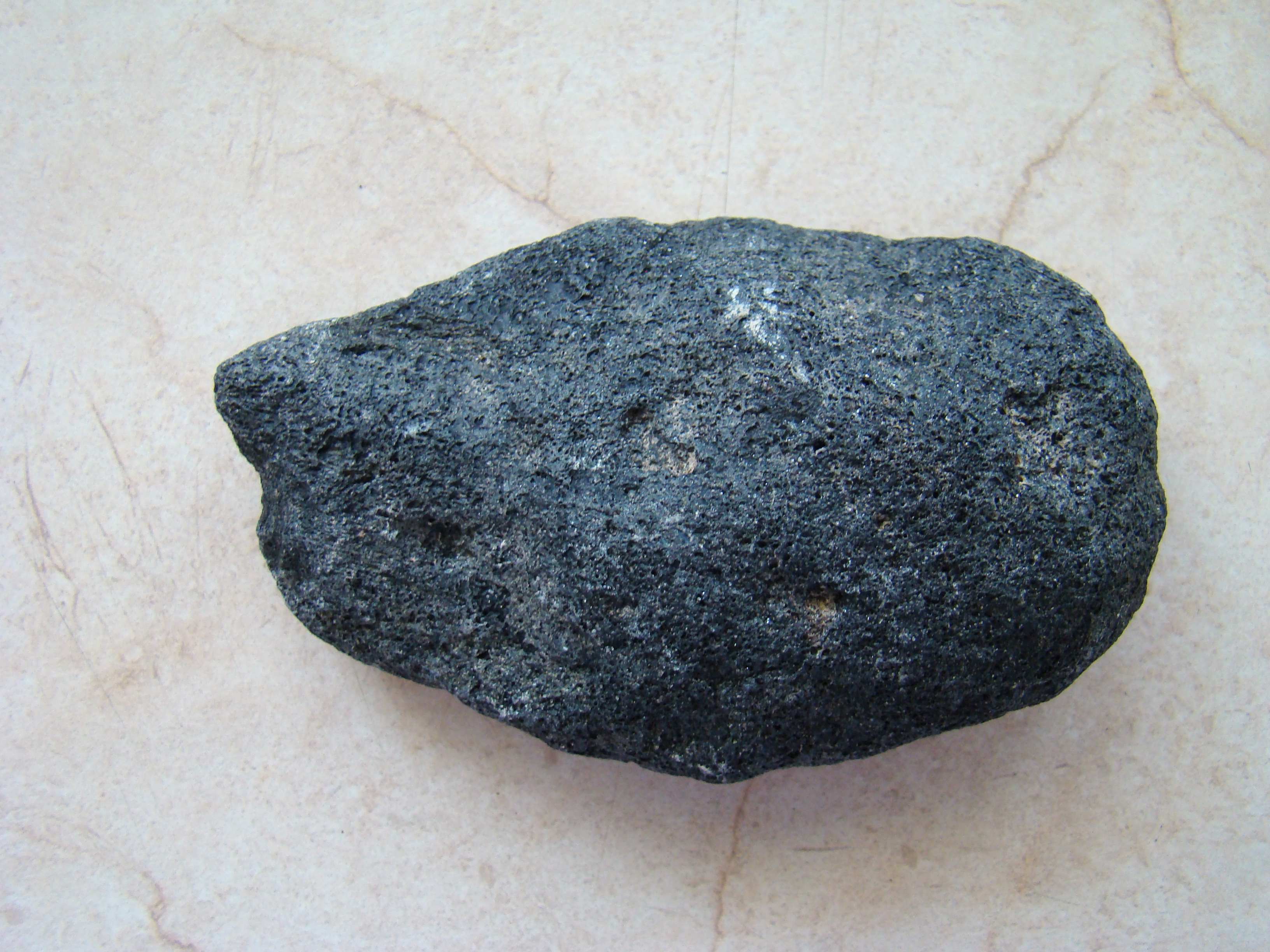 Fossil impression? Or just geological swirl - Fossil ID - The Fossil Forum