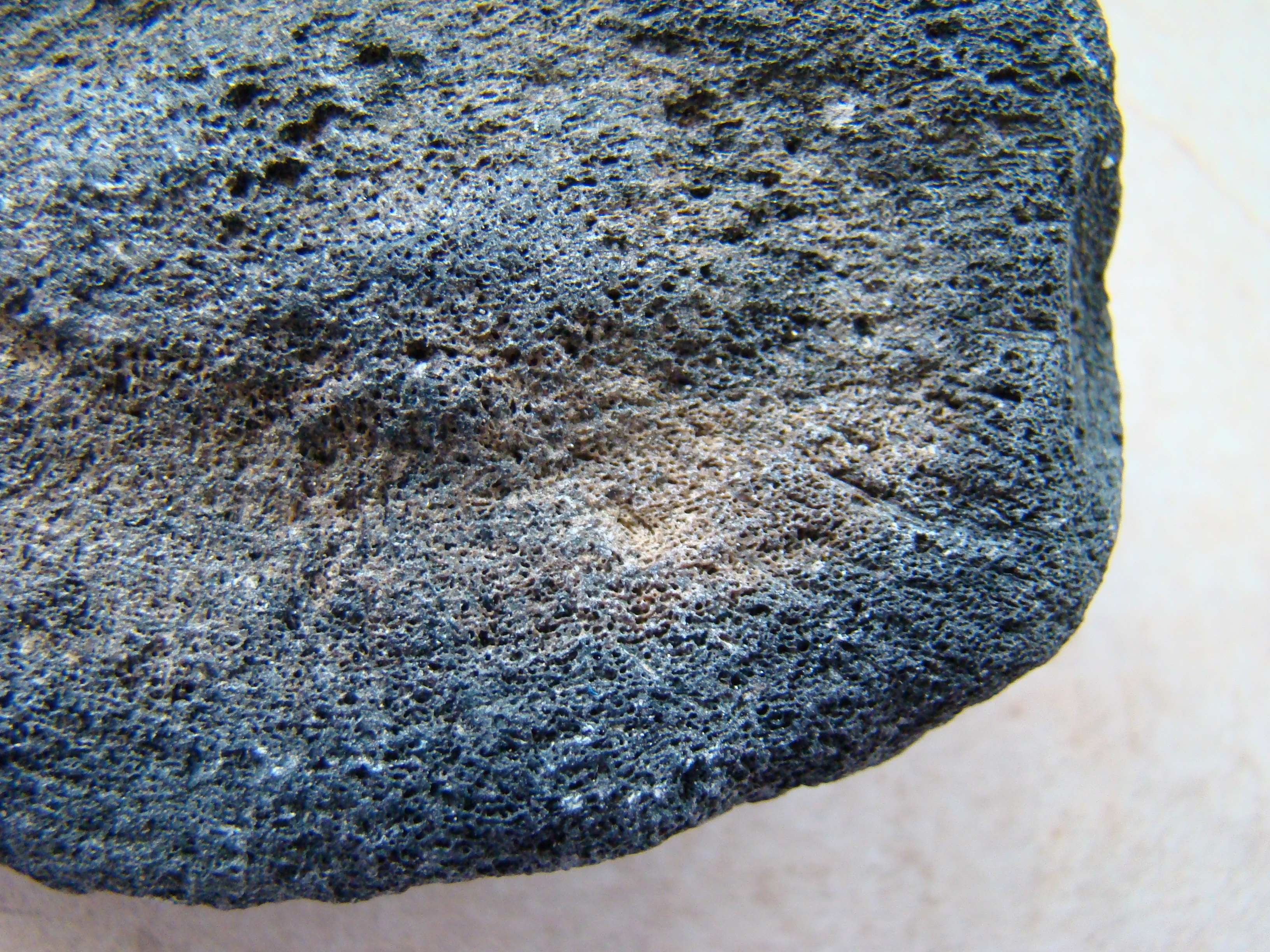 Fossil impression? Or just geological swirl - Fossil ID - The Fossil Forum