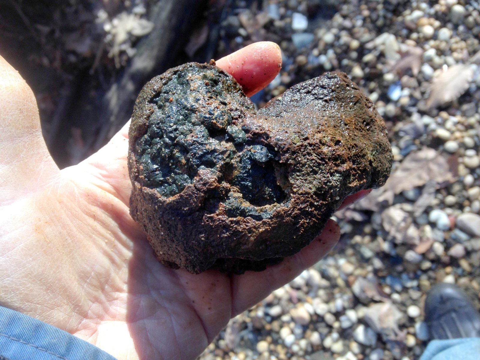 Fossil Flourescence - The Fossil Forum