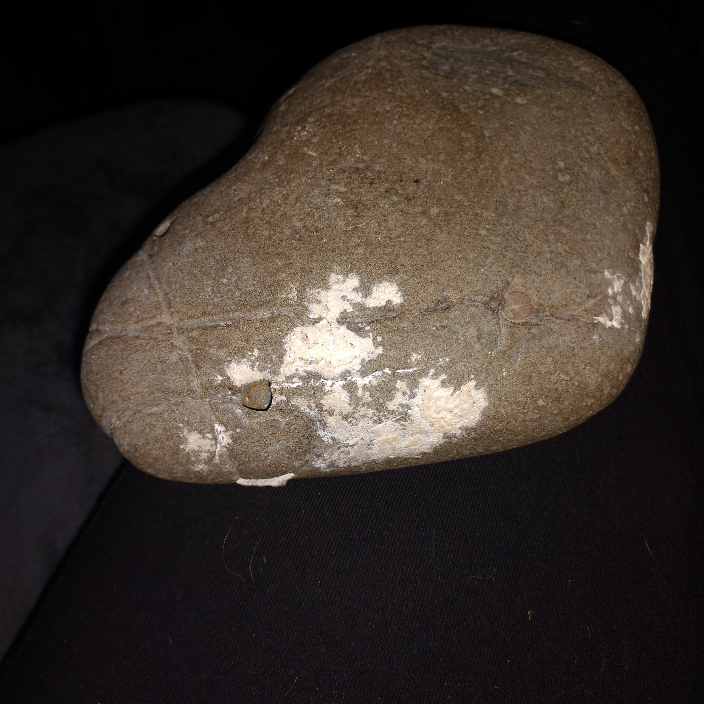 Please - ID- fossilized monkey skull/stone? - Fossil ID - The Fossil Forum