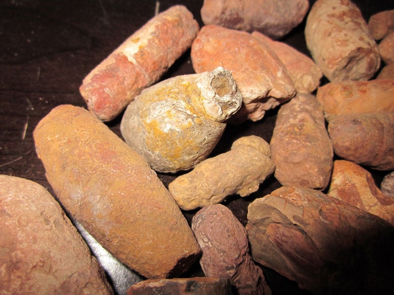 Coprolite verification - Fossil ID - The Fossil Forum
