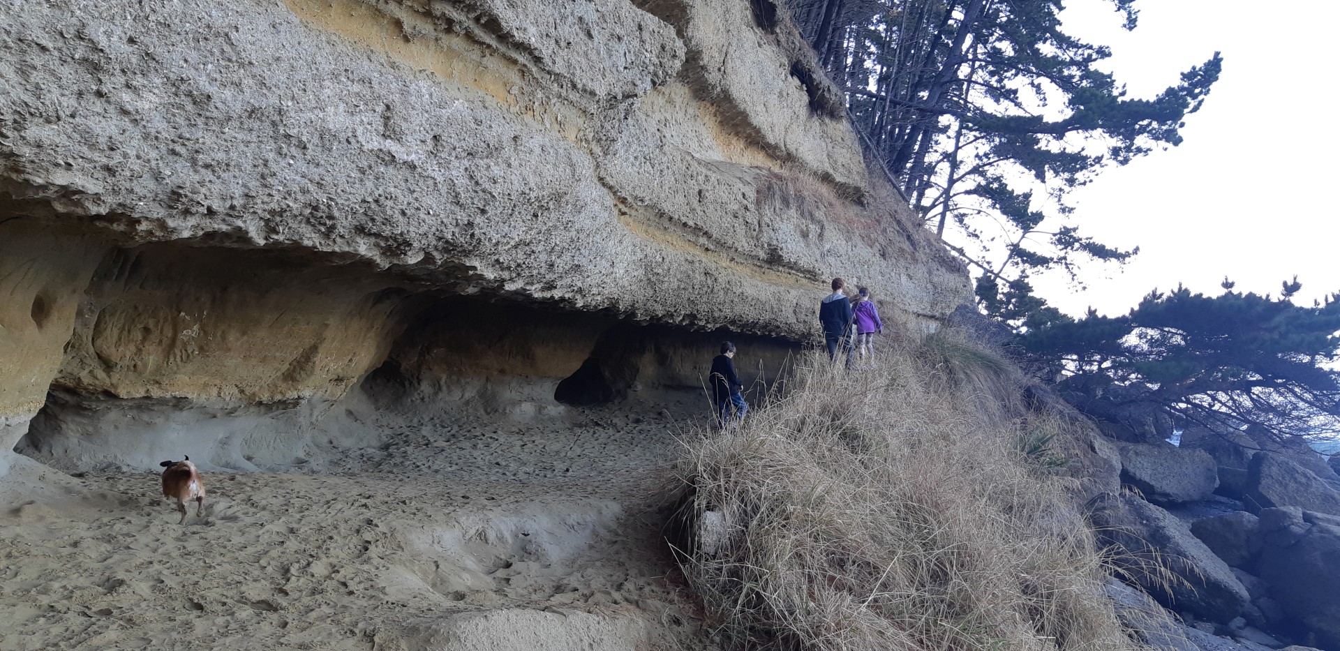 Shell Shoal - Amberley, NZ - Fossil Hunting Trips - The Fossil Forum