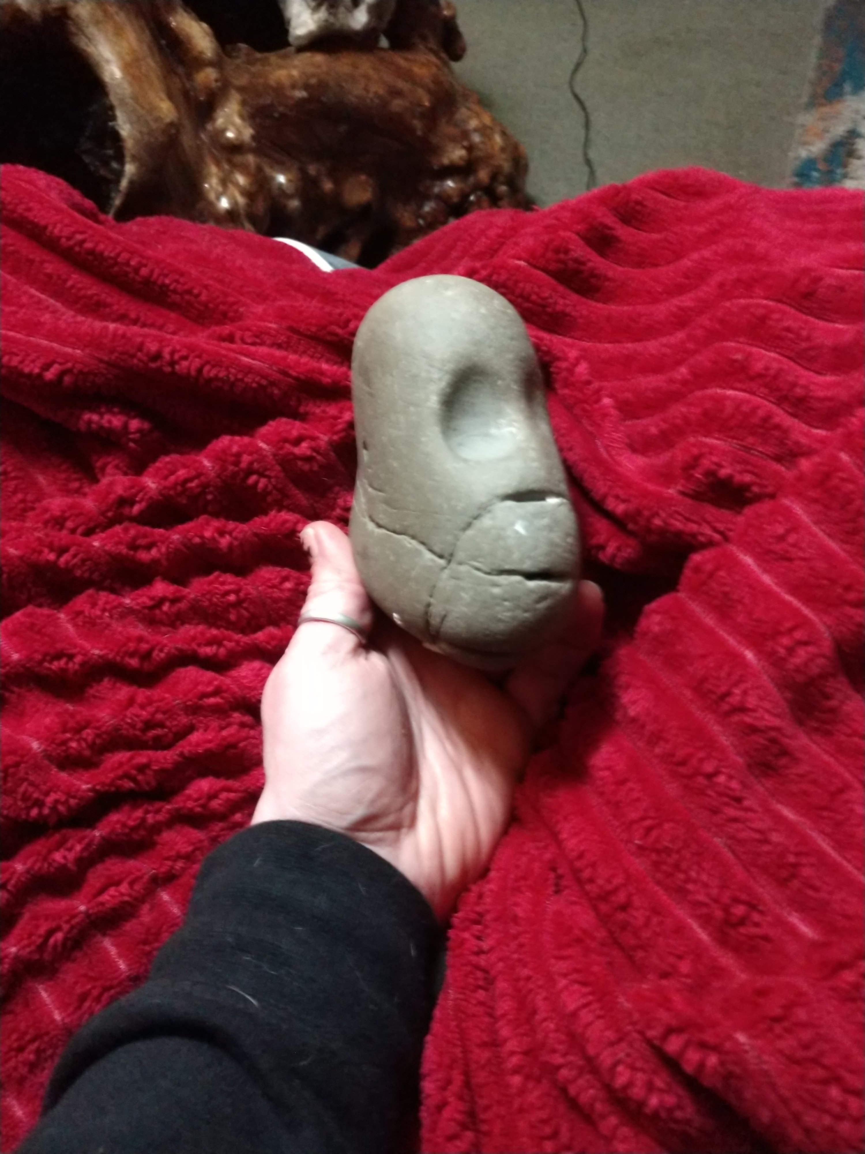 Please - ID- fossilized monkey skull/stone? - Fossil ID - The Fossil Forum