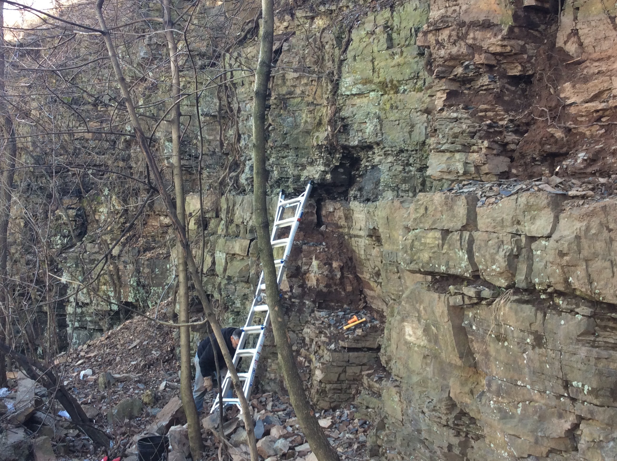 Triassic Fishing in New Jersey with TFF Members - Fossil Hunting Trips ...