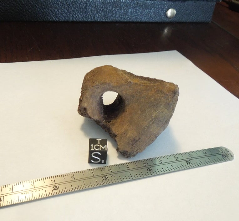 Bone with a Hole, Probable Pleistocene, Peace River, Florida - Fossil ...