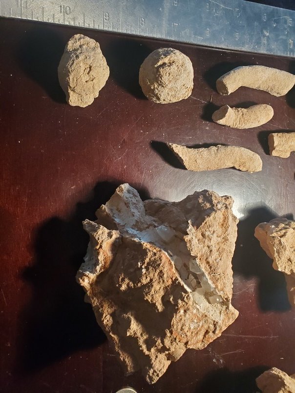 Trace fossils? Coral? Anemone? Worms?!? - Fossil ID - The Fossil Forum