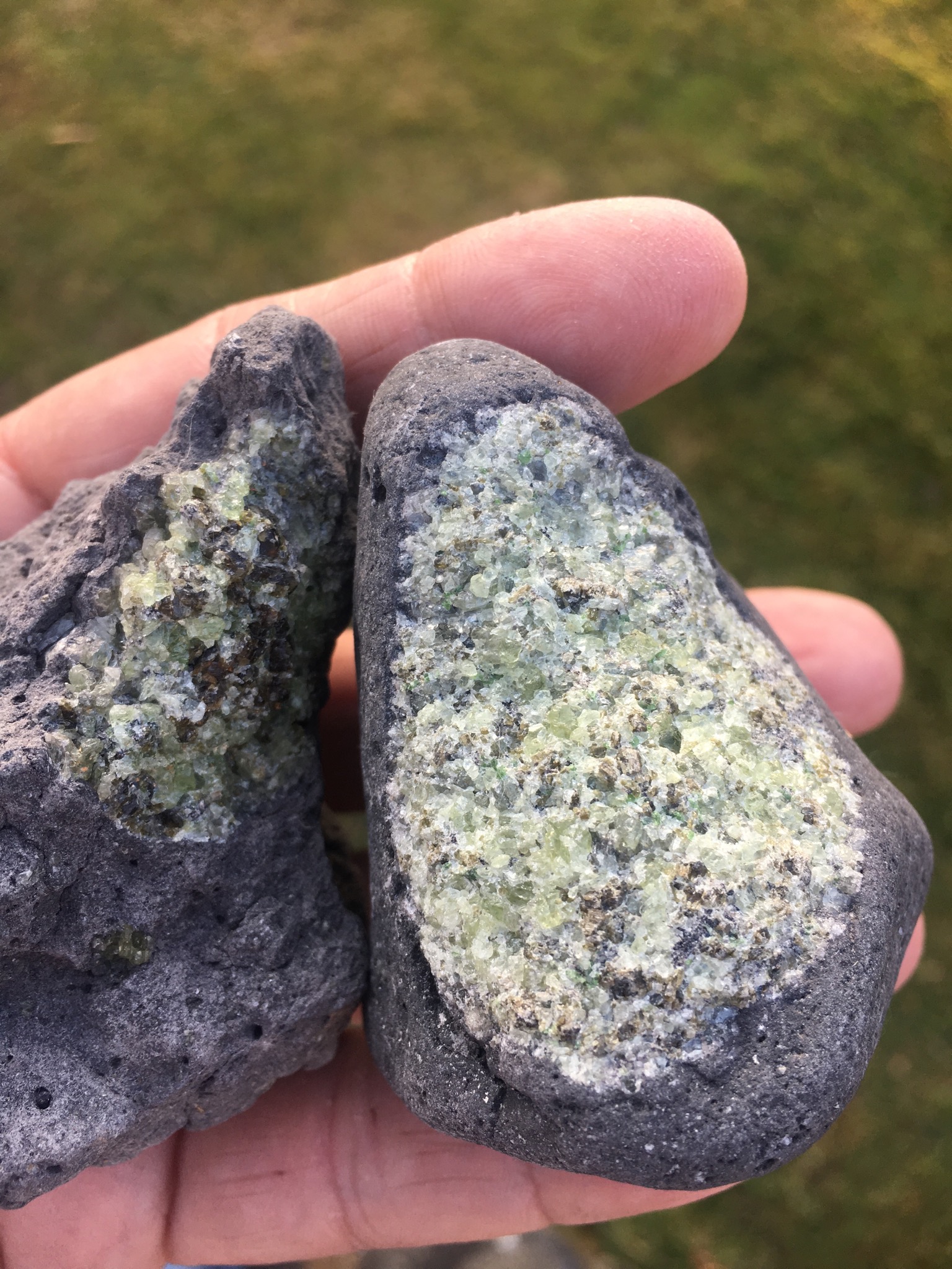 My Fossil Room is a Mess - General Fossil Discussion - The Fossil Forum