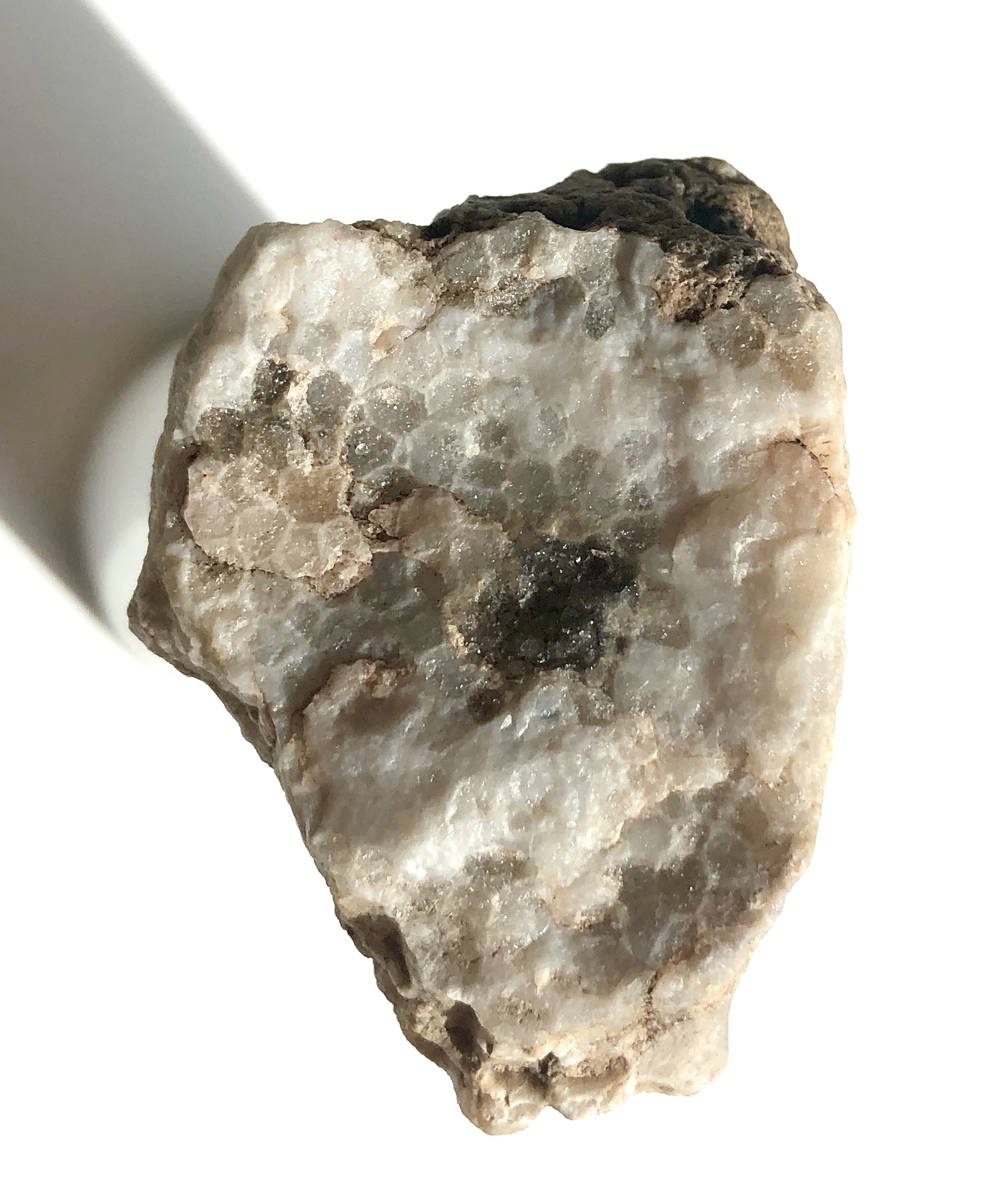 Hexagonal shapes unexplained - Fossil ID - The Fossil Forum