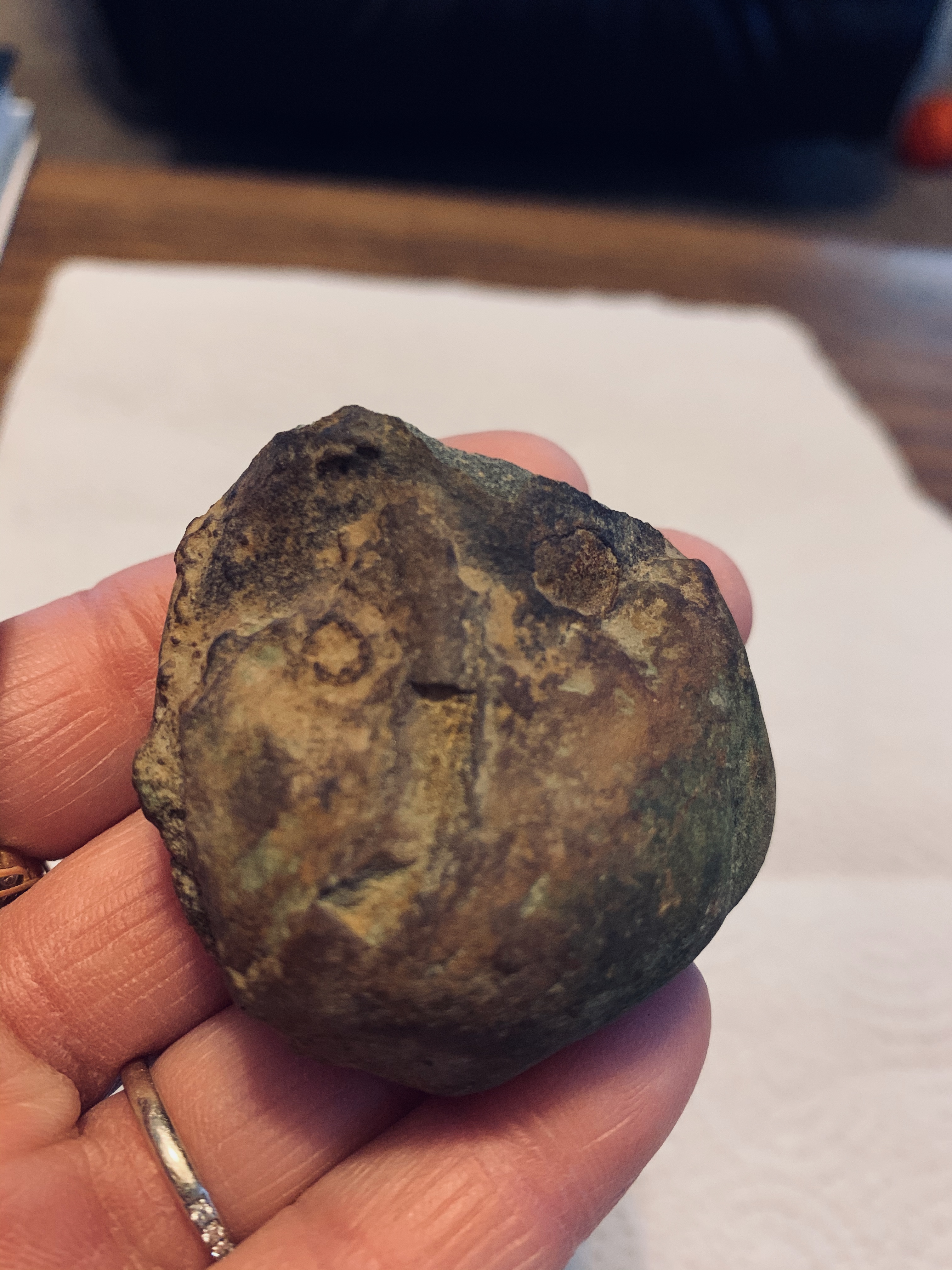 Iron concretion? What’s inside? - Rocks & Minerals - The Fossil Forum