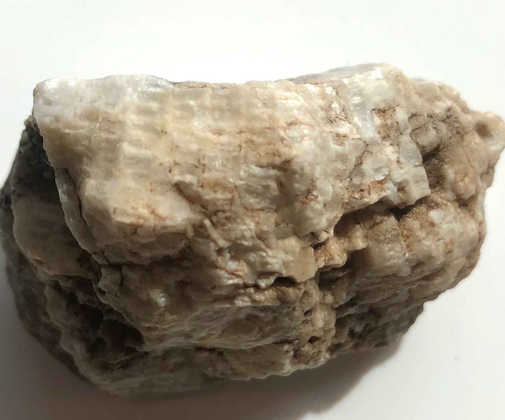 Hexagonal shapes unexplained - Fossil ID - The Fossil Forum