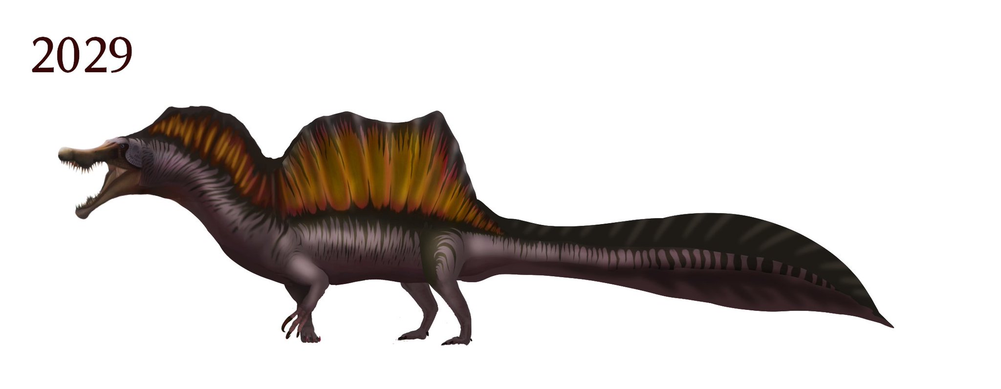 Spinosaurus had a rather unusual tail - Fossil News - The Fossil Forum
