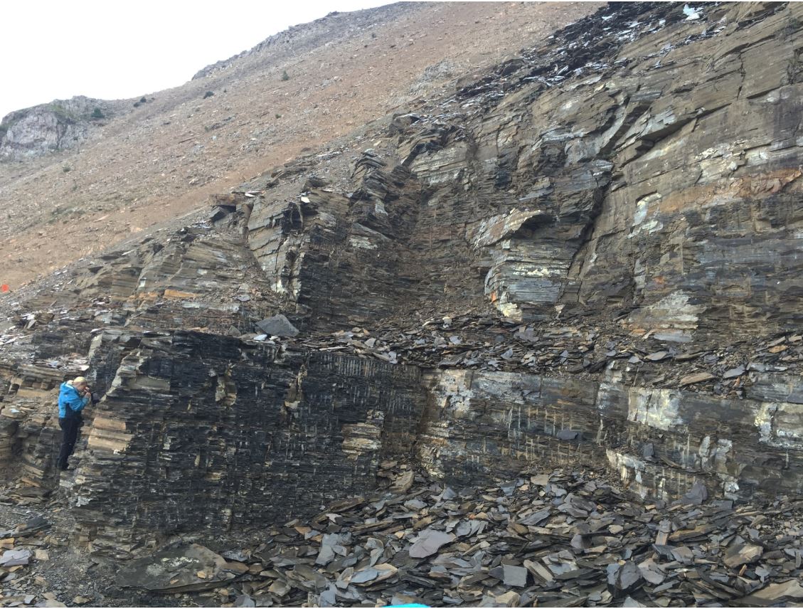 The Burgess Shale - Fossil Hunting Trips - The Fossil Forum