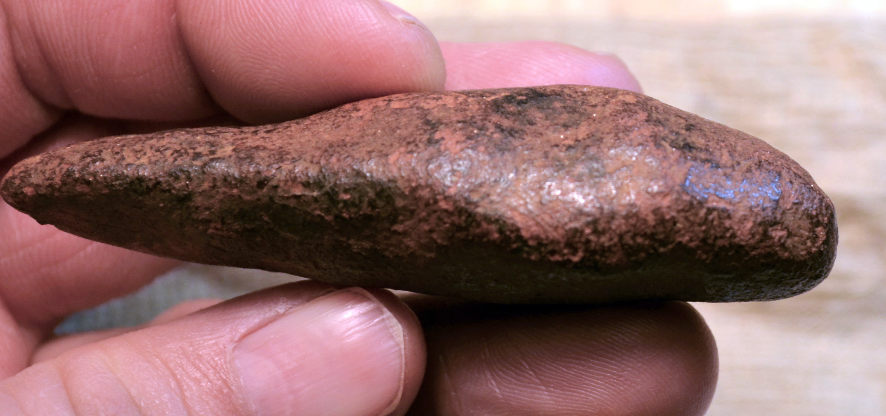 Tear Drop shaped trace fossil - Fossil ID - The Fossil Forum
