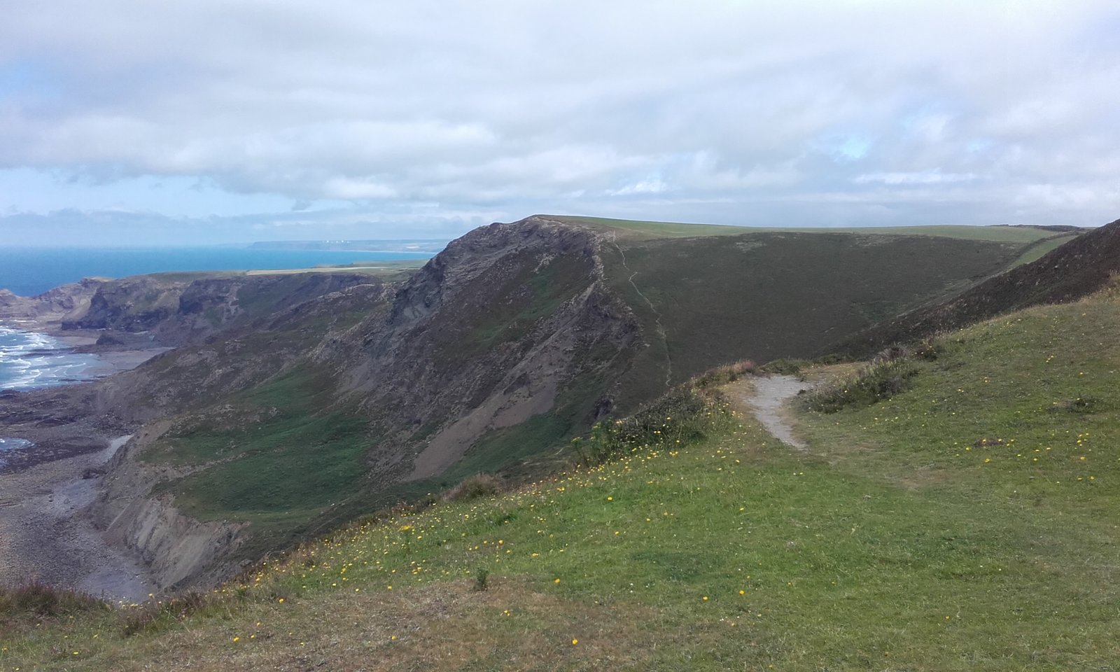 Crackington Formation Cliffs. - Member Collections - The Fossil Forum