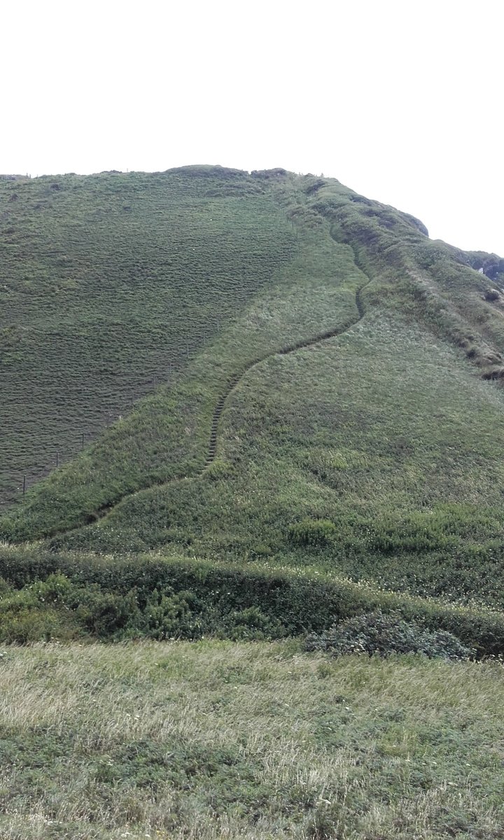 Crackington Formation Cliffs. - Member Collections - The Fossil Forum