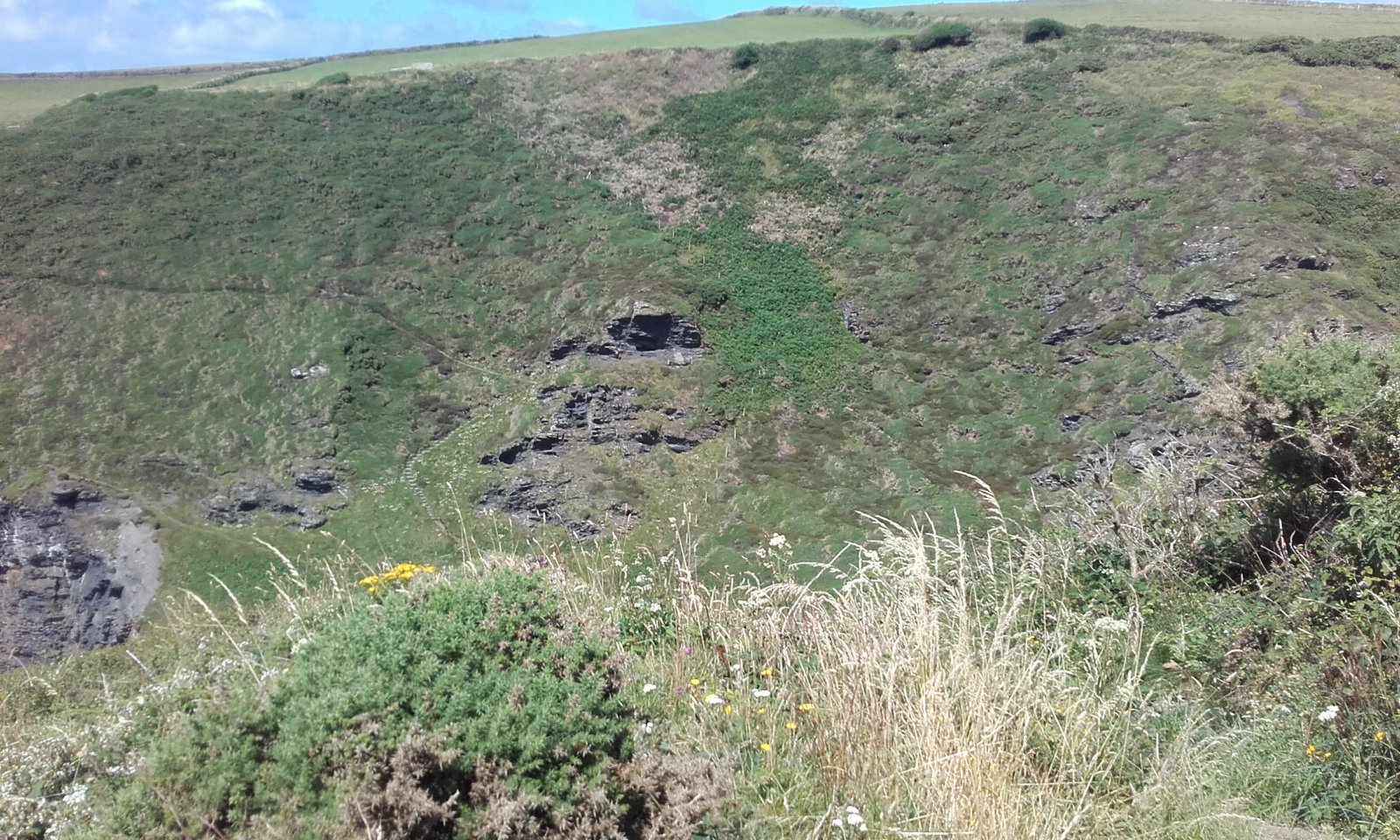 Crackington Formation Cliffs. - Member Collections - The Fossil Forum