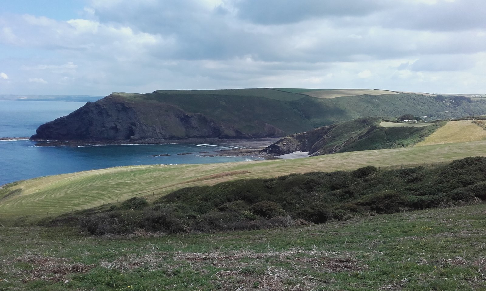 Crackington Formation Cliffs. - Member Collections - The Fossil Forum