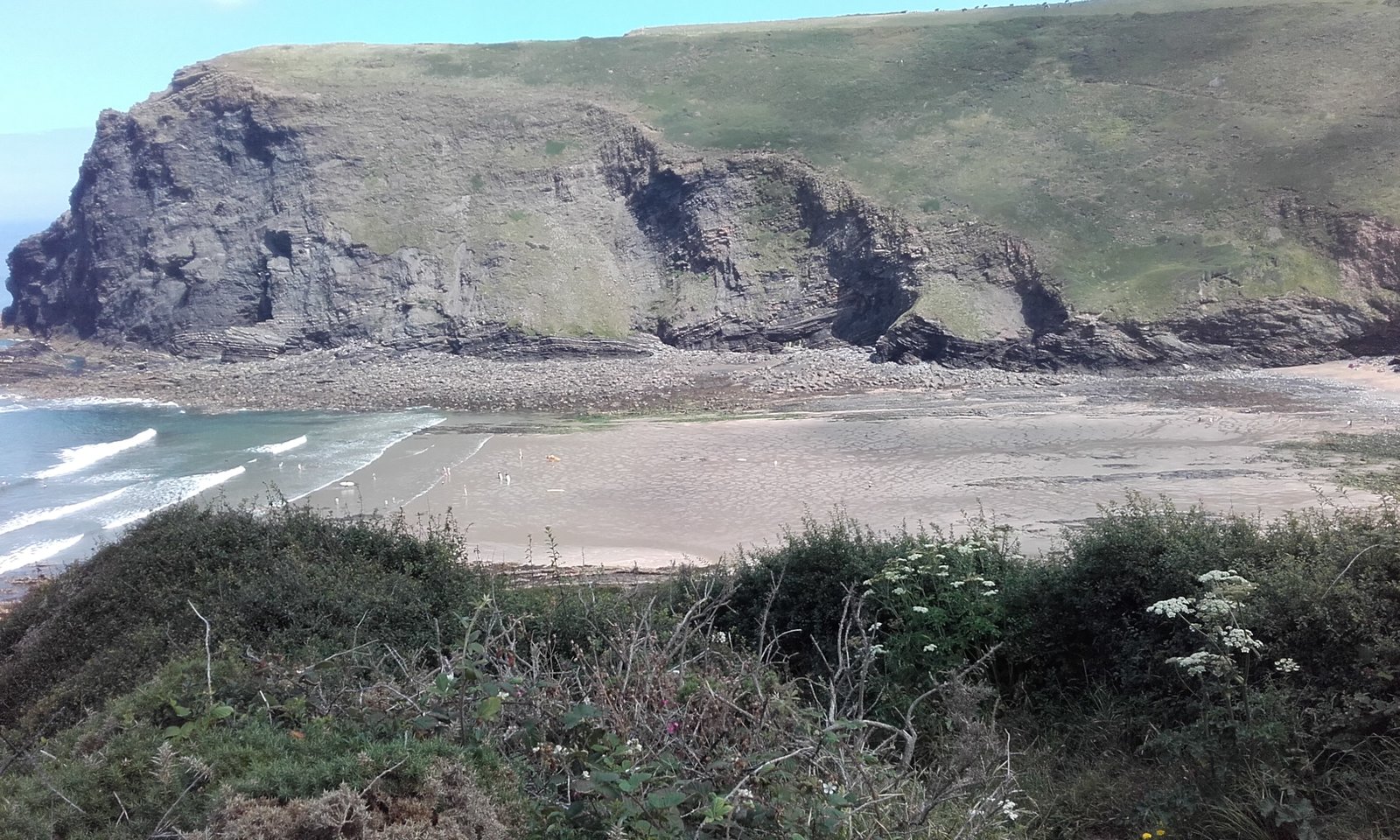 Crackington Formation Cliffs. - Member Collections - The Fossil Forum