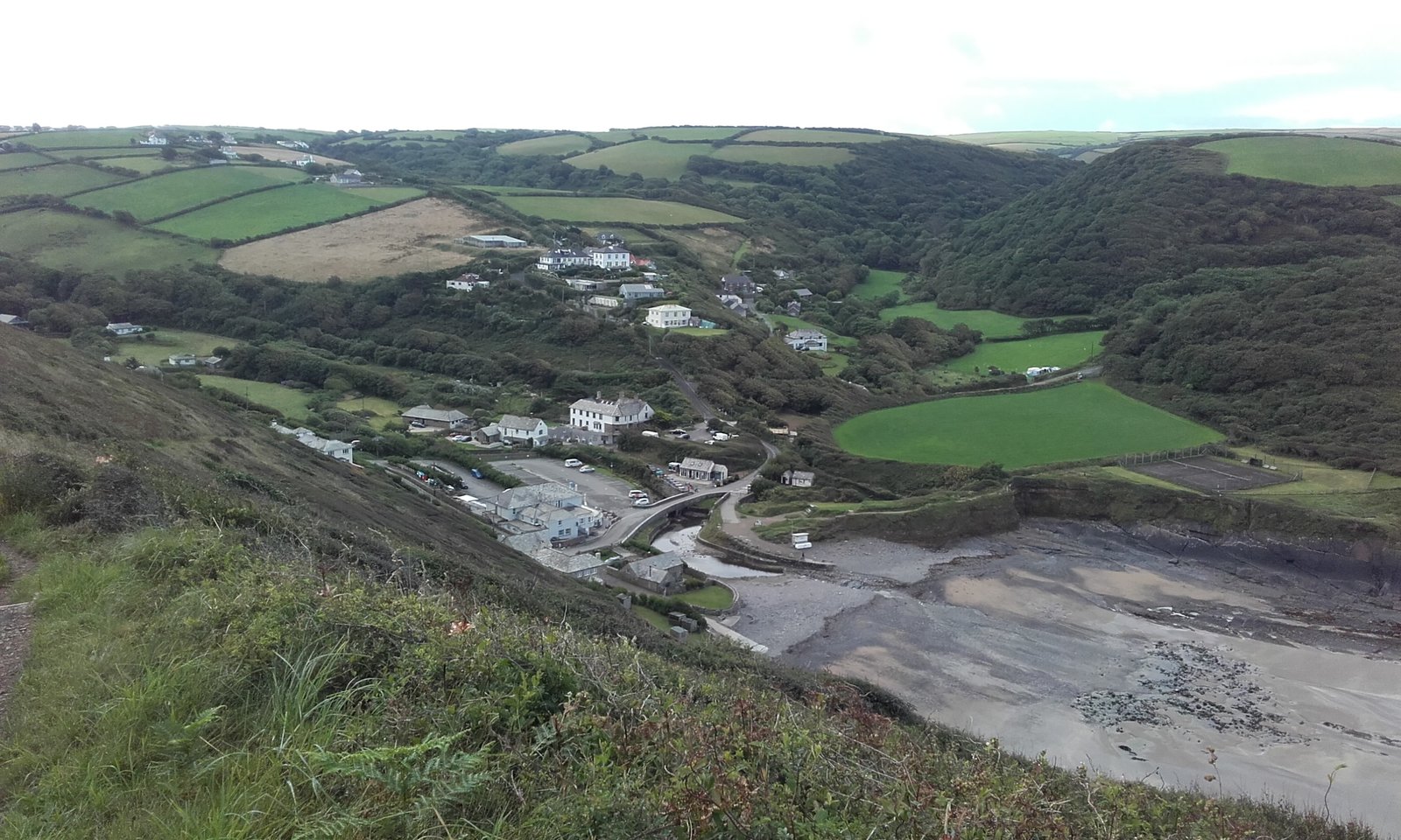 Crackington Formation Cliffs. - Member Collections - The Fossil Forum