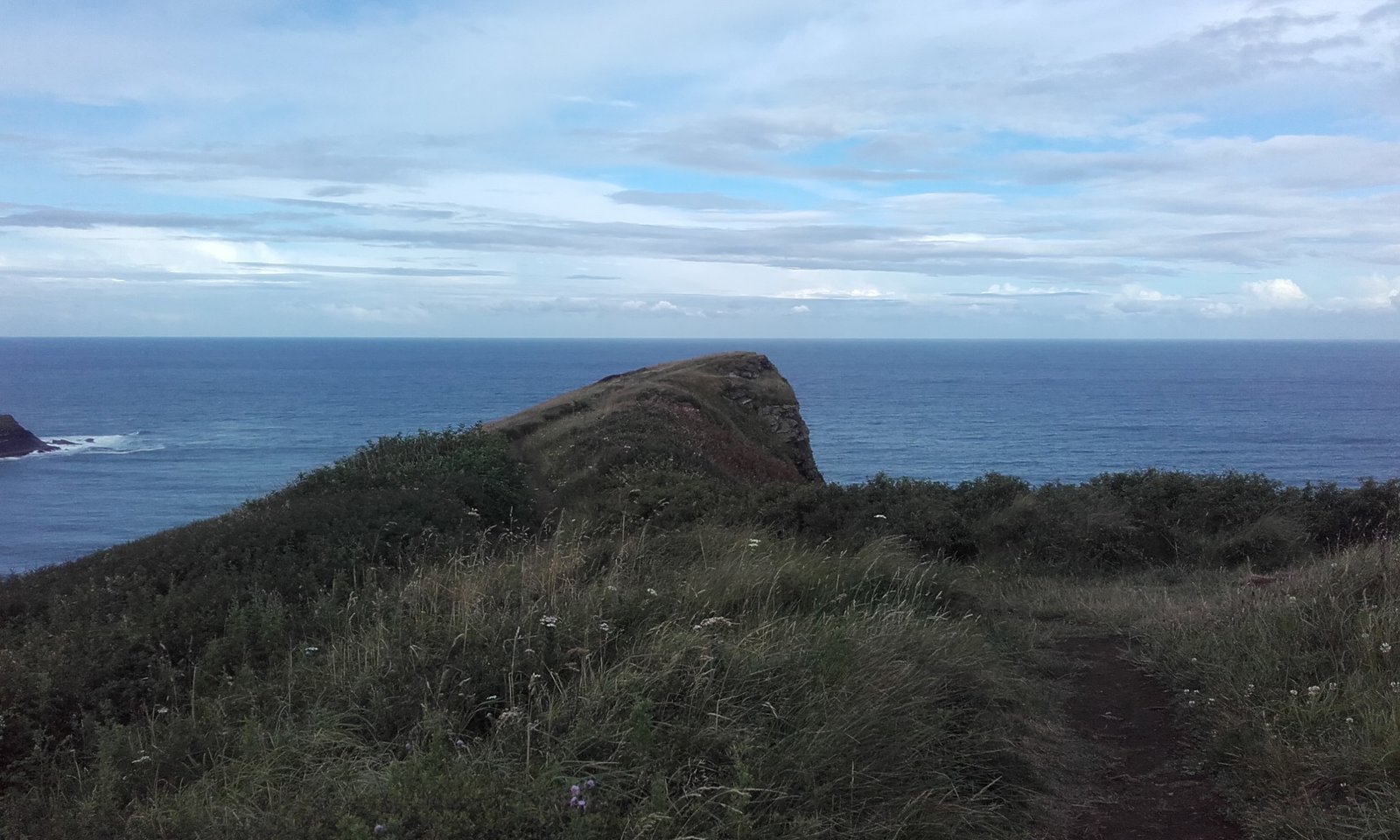 Crackington Formation Cliffs. - Member Collections - The Fossil Forum