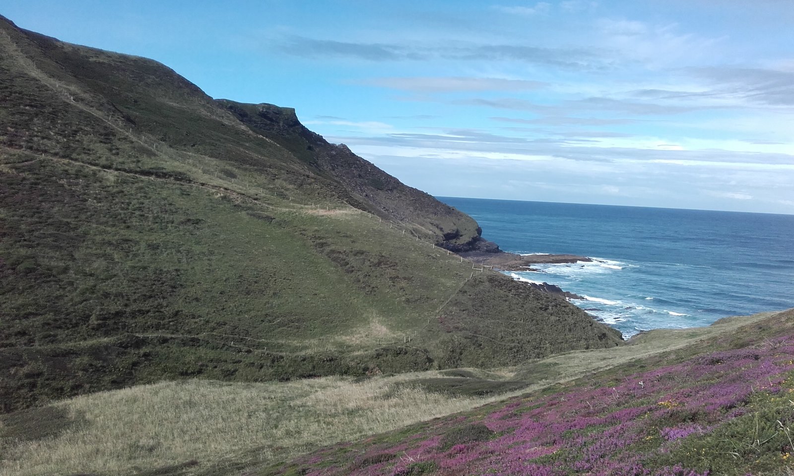 Crackington Formation Cliffs. - Member Collections - The Fossil Forum