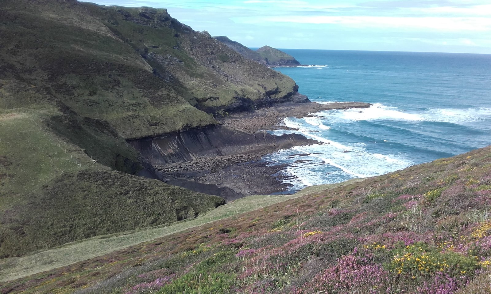 Crackington Formation Cliffs. - Member Collections - The Fossil Forum