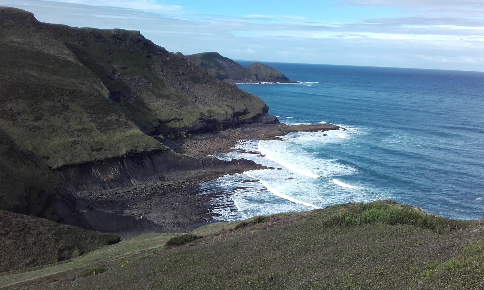 Crackington Formation Cliffs. - Member Collections - The Fossil Forum
