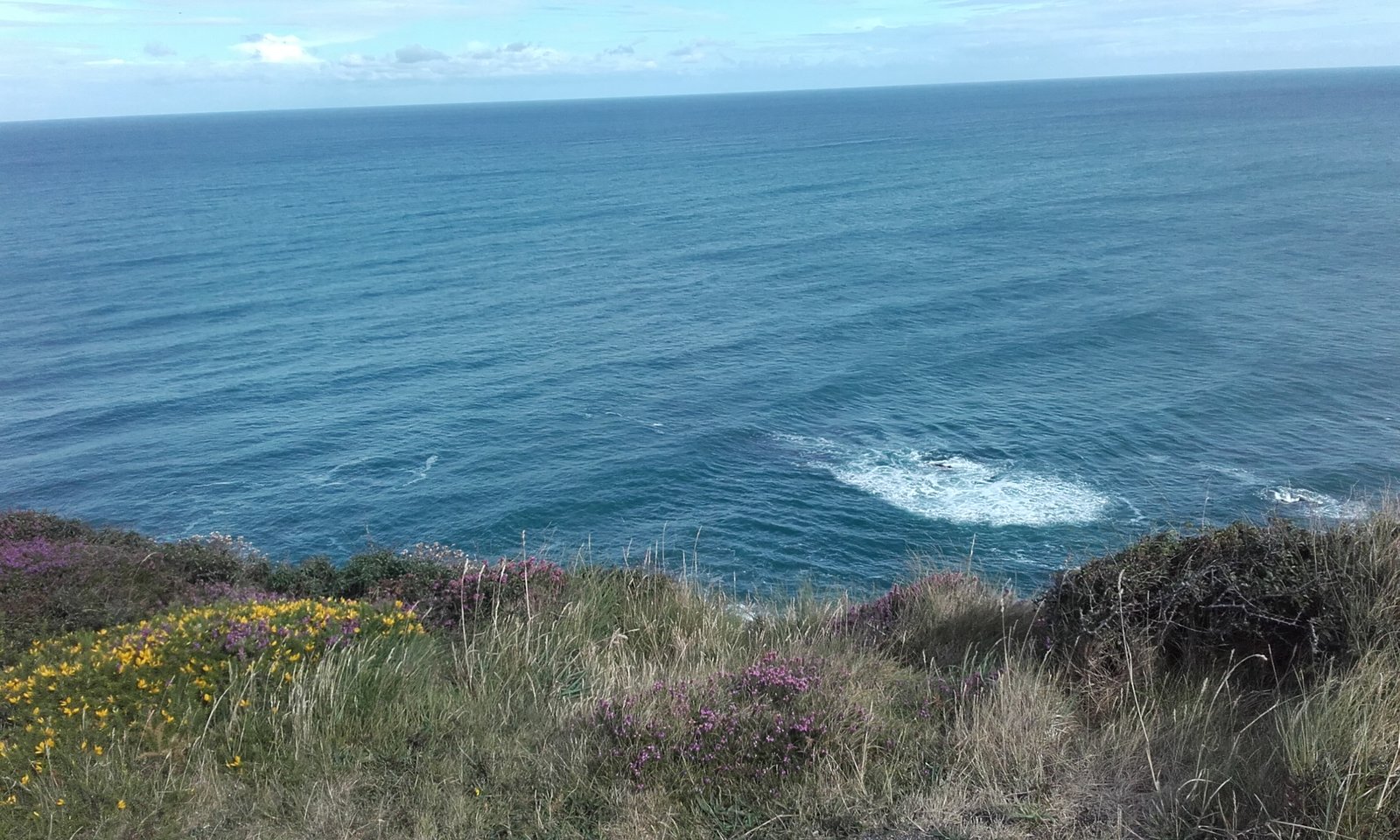 Crackington Formation Cliffs. - Member Collections - The Fossil Forum