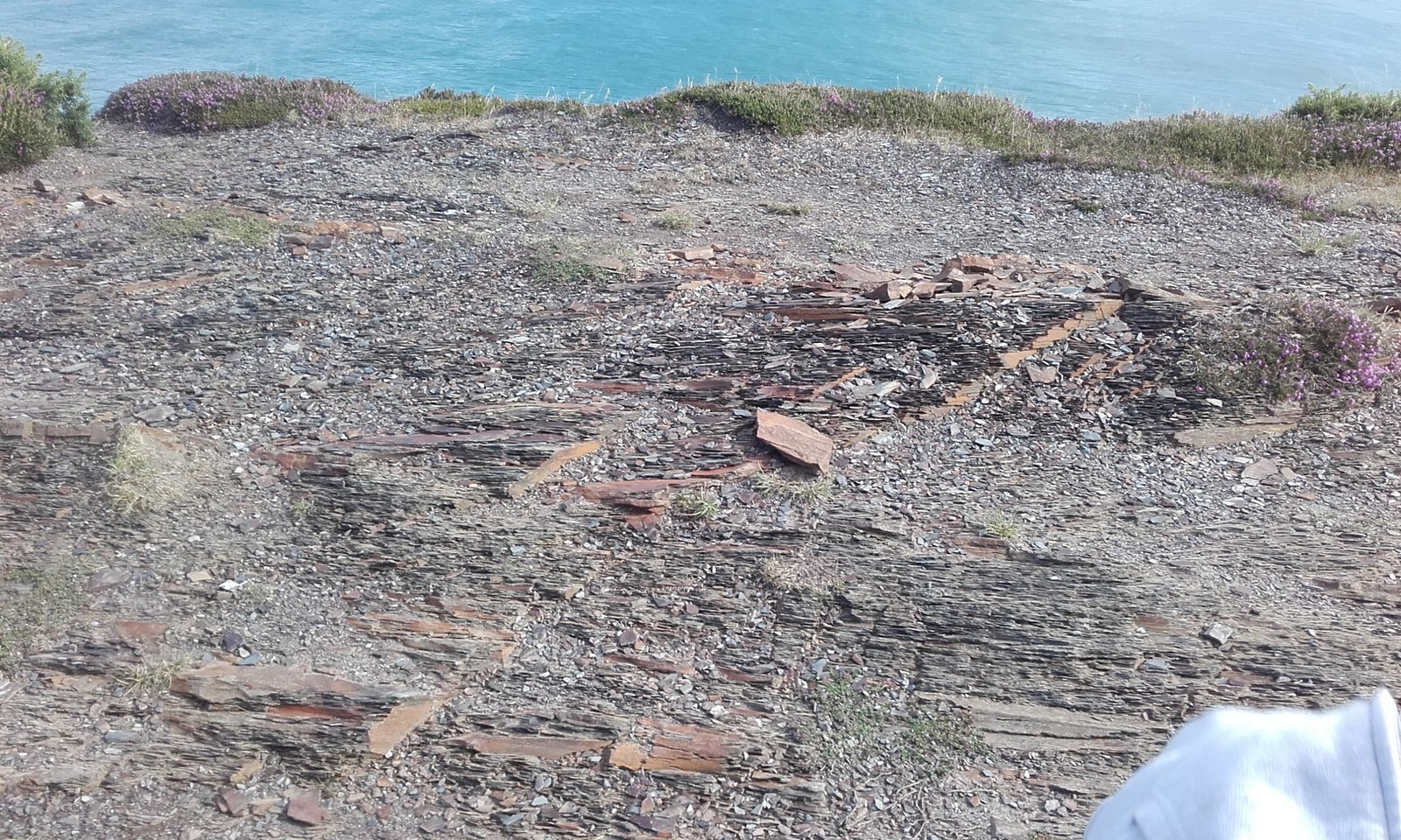 Crackington Formation Cliffs. - Member Collections - The Fossil Forum
