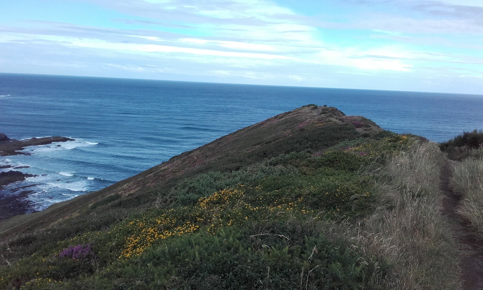 Crackington Formation Cliffs. - Member Collections - The Fossil Forum