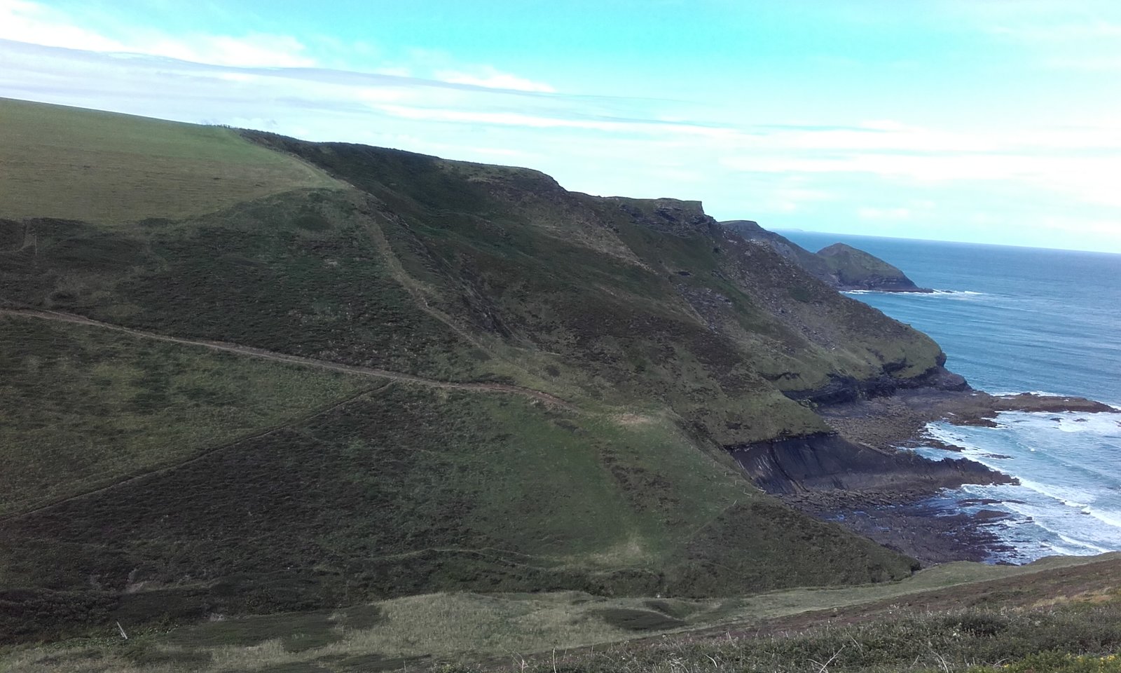 Crackington Formation Cliffs. - Member Collections - The Fossil Forum