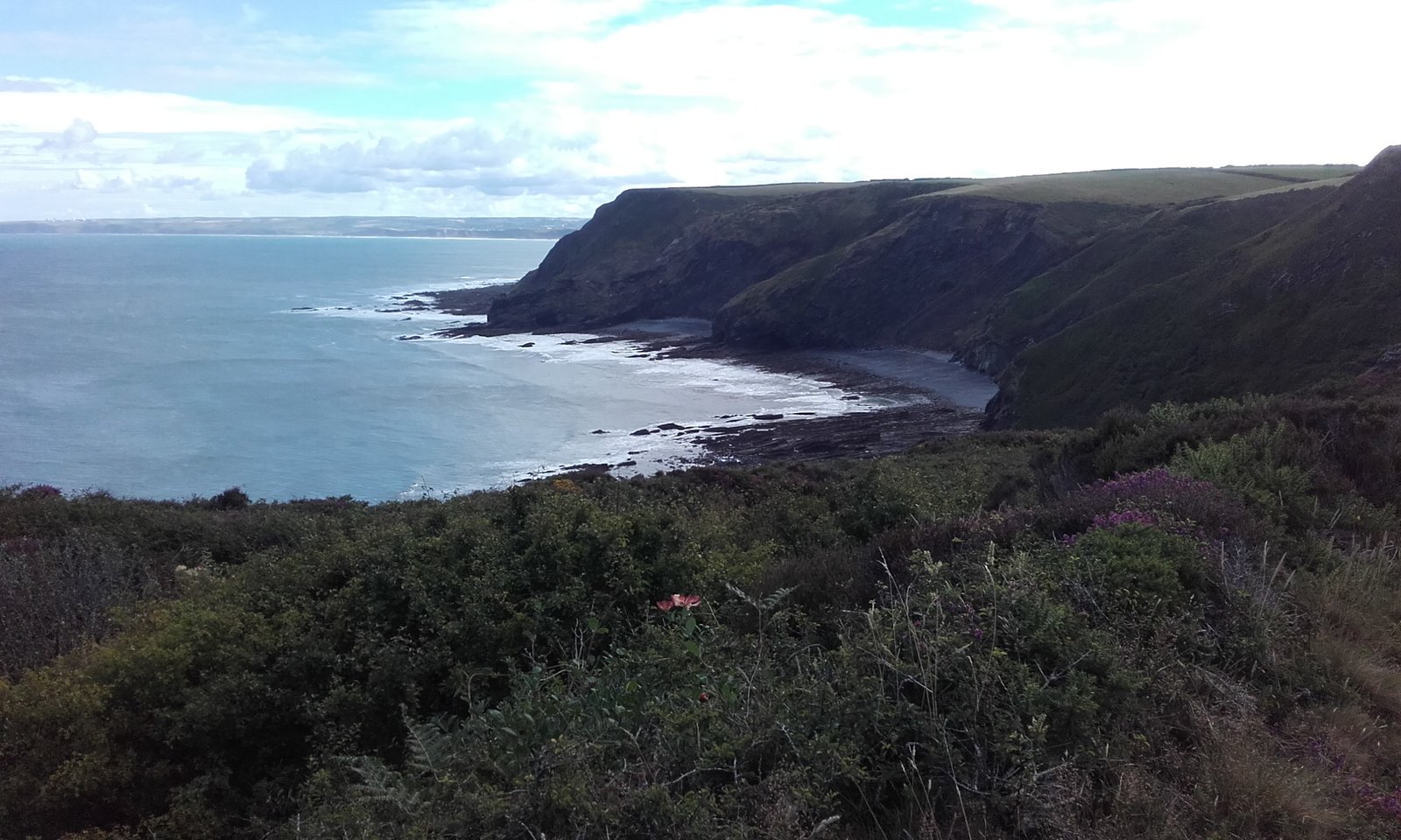 Crackington Formation Cliffs. - Member Collections - The Fossil Forum