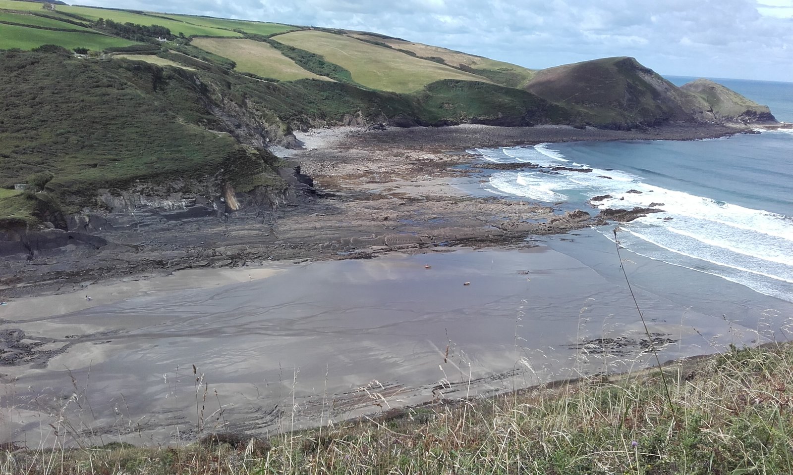 Crackington Formation Cliffs. - Member Collections - The Fossil Forum