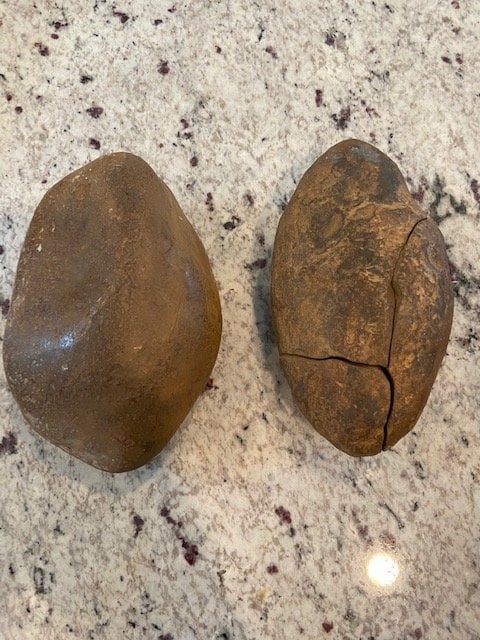 Another Fossilized Mango? - Fossil ID - The Fossil Forum