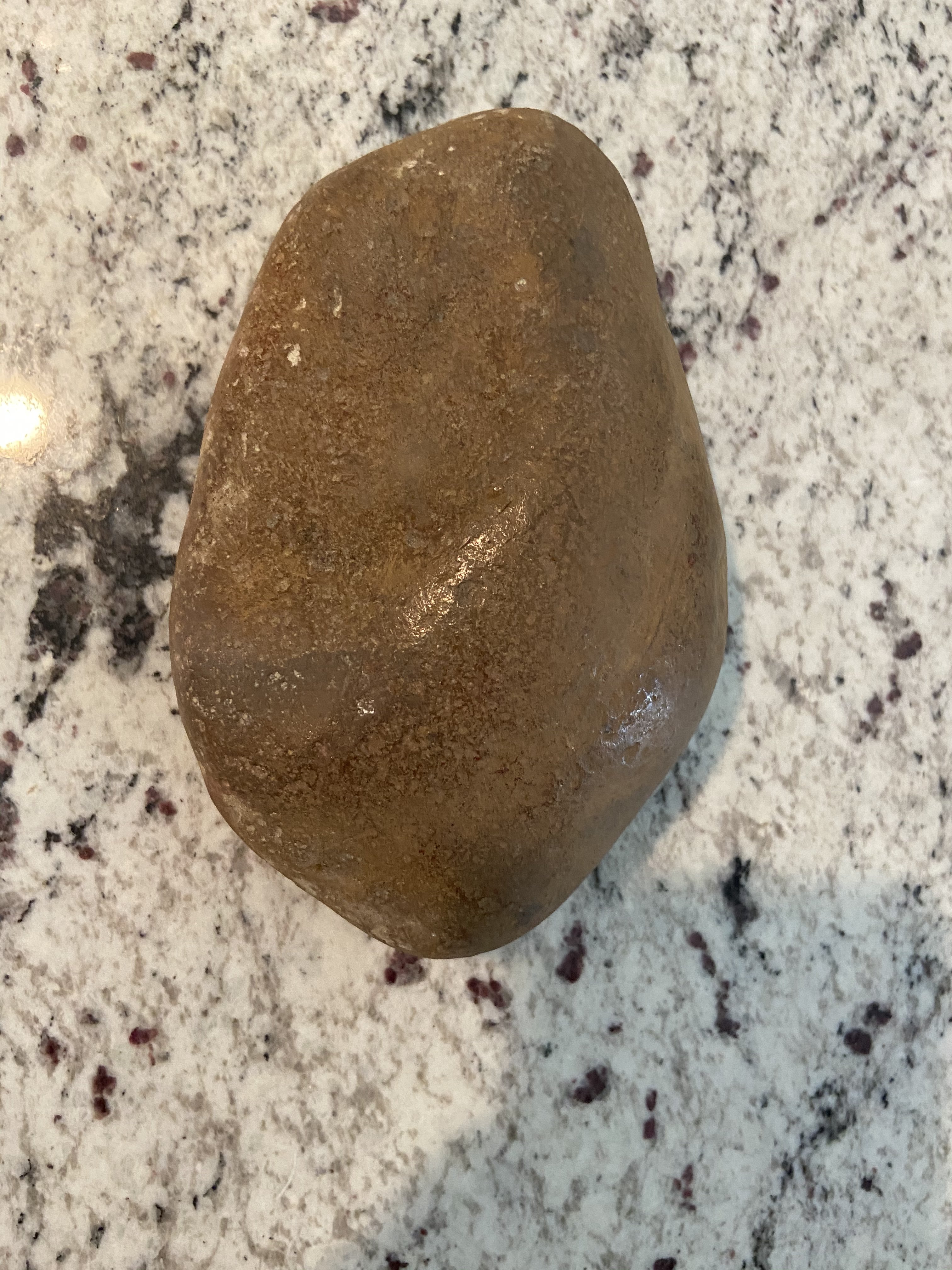 Another Fossilized Mango? - Fossil ID - The Fossil Forum