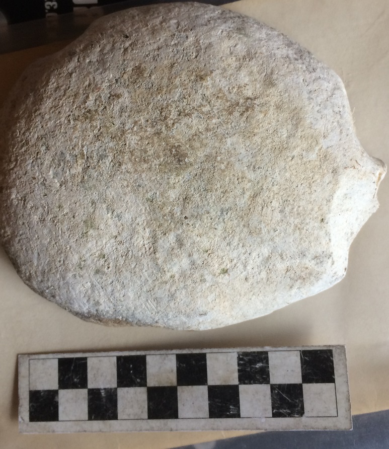 Burlington limestone fossil IDs - Fossil ID - The Fossil Forum