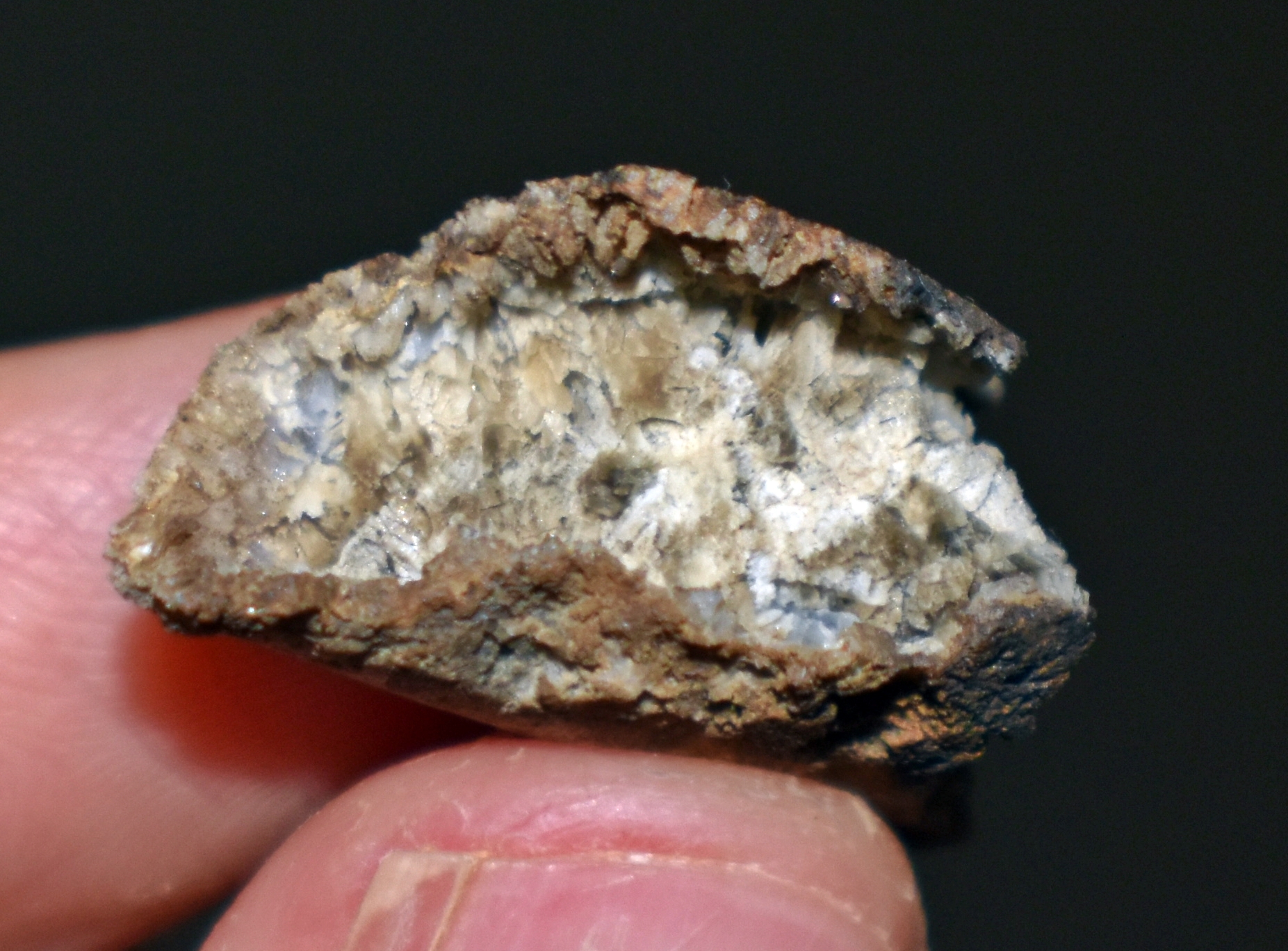 Mystery Cylindrical Fragment - Middle Tennessee - Fossil ID - The ...
