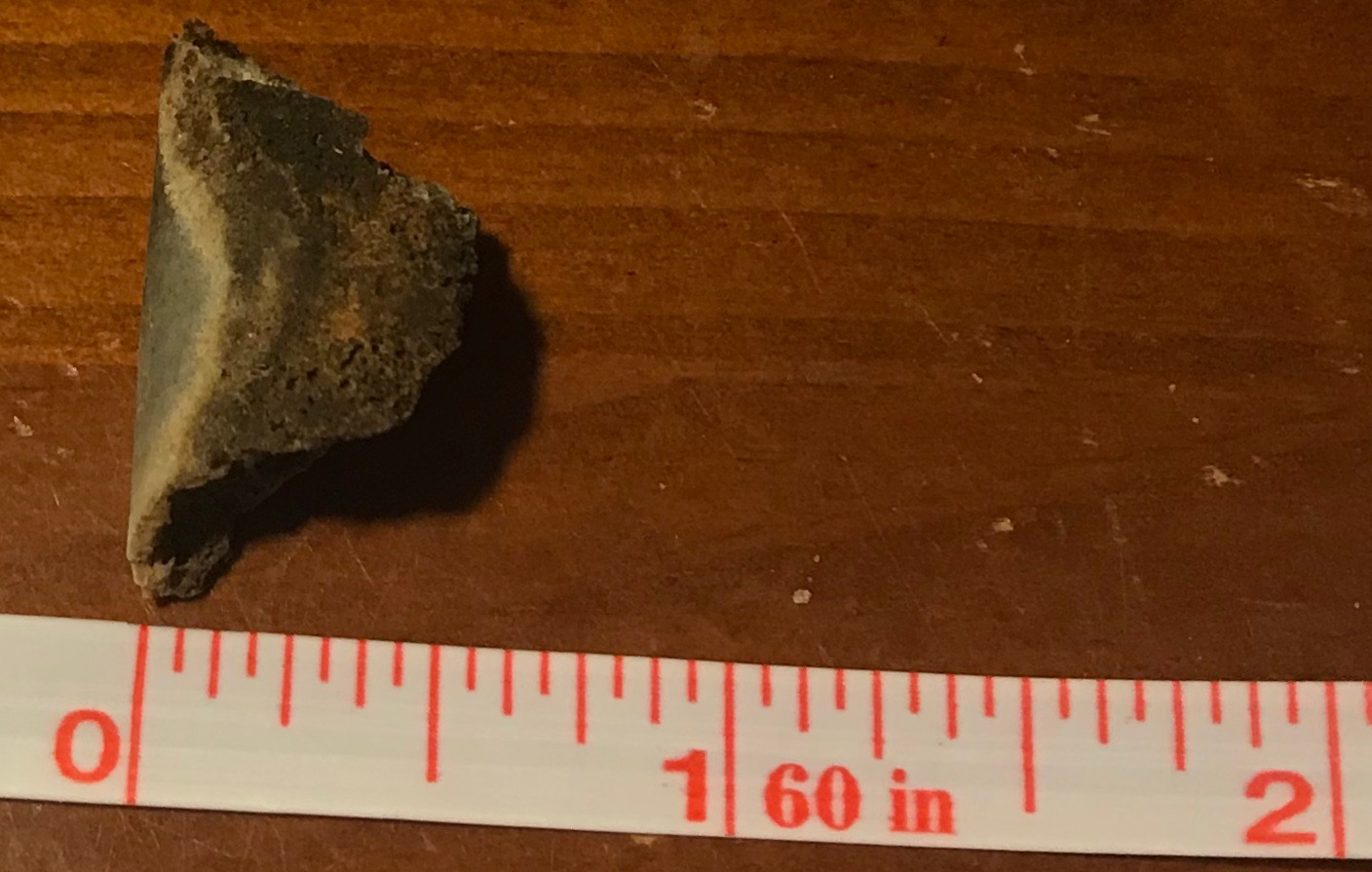 Mystery Cylindrical Fragment - Middle Tennessee - Fossil ID - The ...
