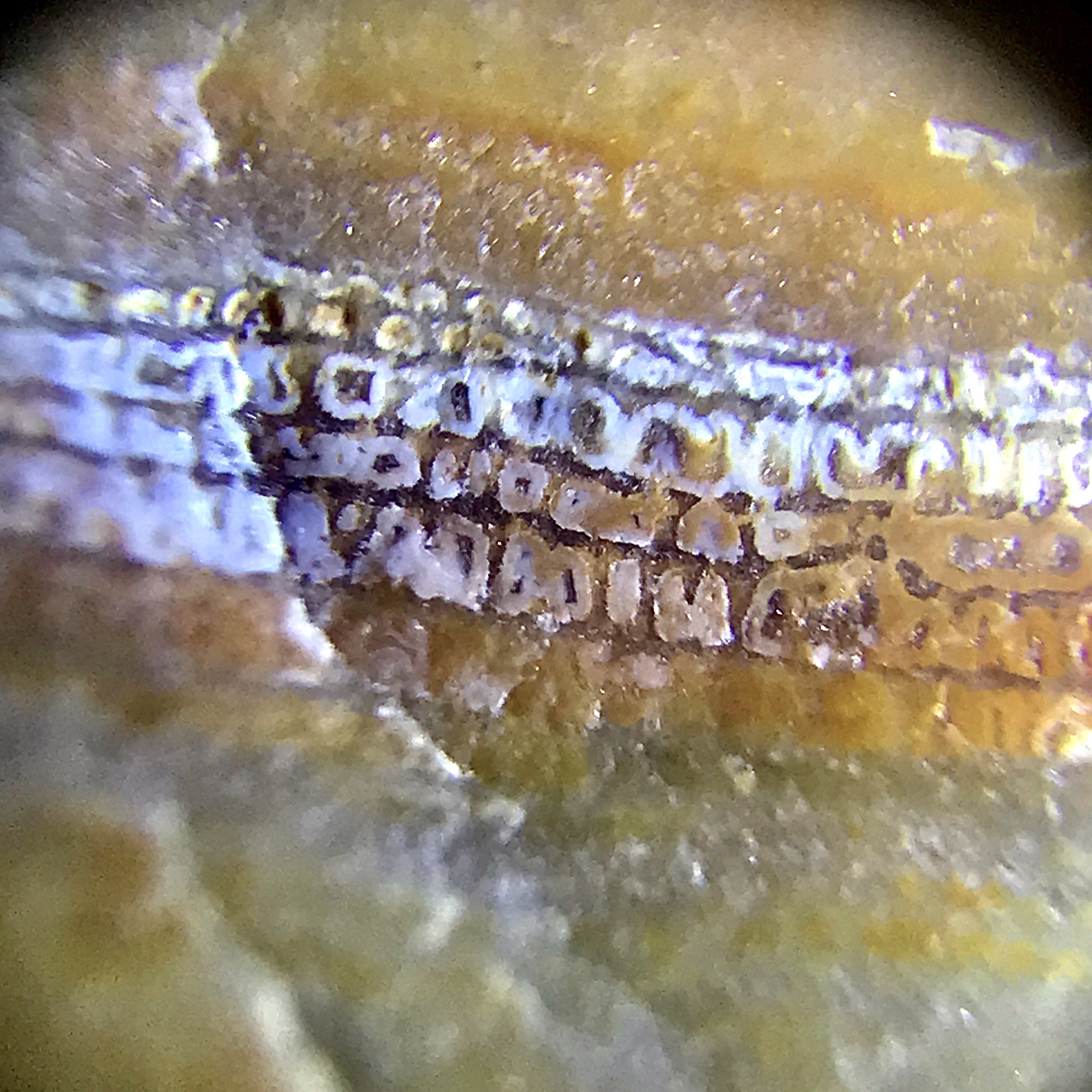 Cheerio rock - a stromatoporoid, a sponge or maybe geological? - Fossil ...