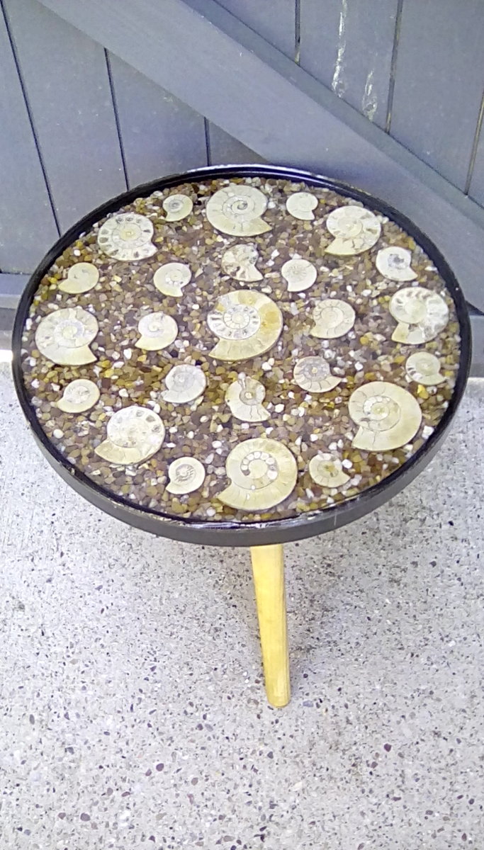 Ammonite table. - Member Collections - The Fossil Forum