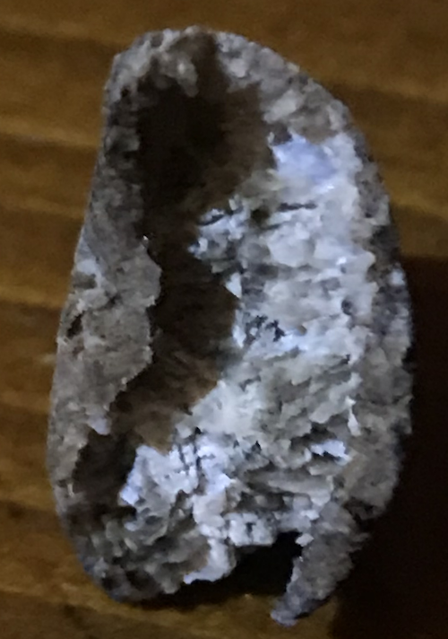 Mystery Cylindrical Fragment - Middle Tennessee - Fossil ID - The ...