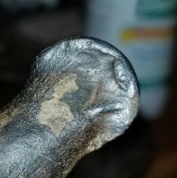 Big Brook, NJ Toe bone (Phalanx) ID - Fossil ID - The Fossil Forum