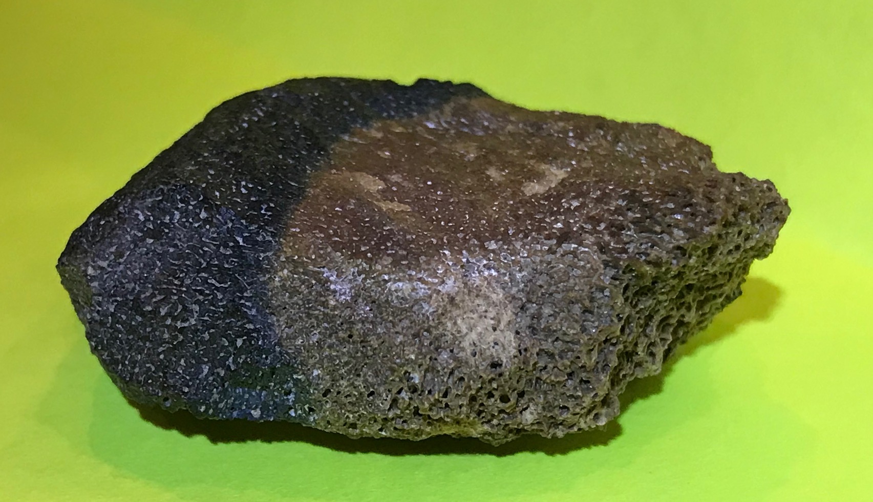 ID Multi-color fossil - Fossil ID - The Fossil Forum