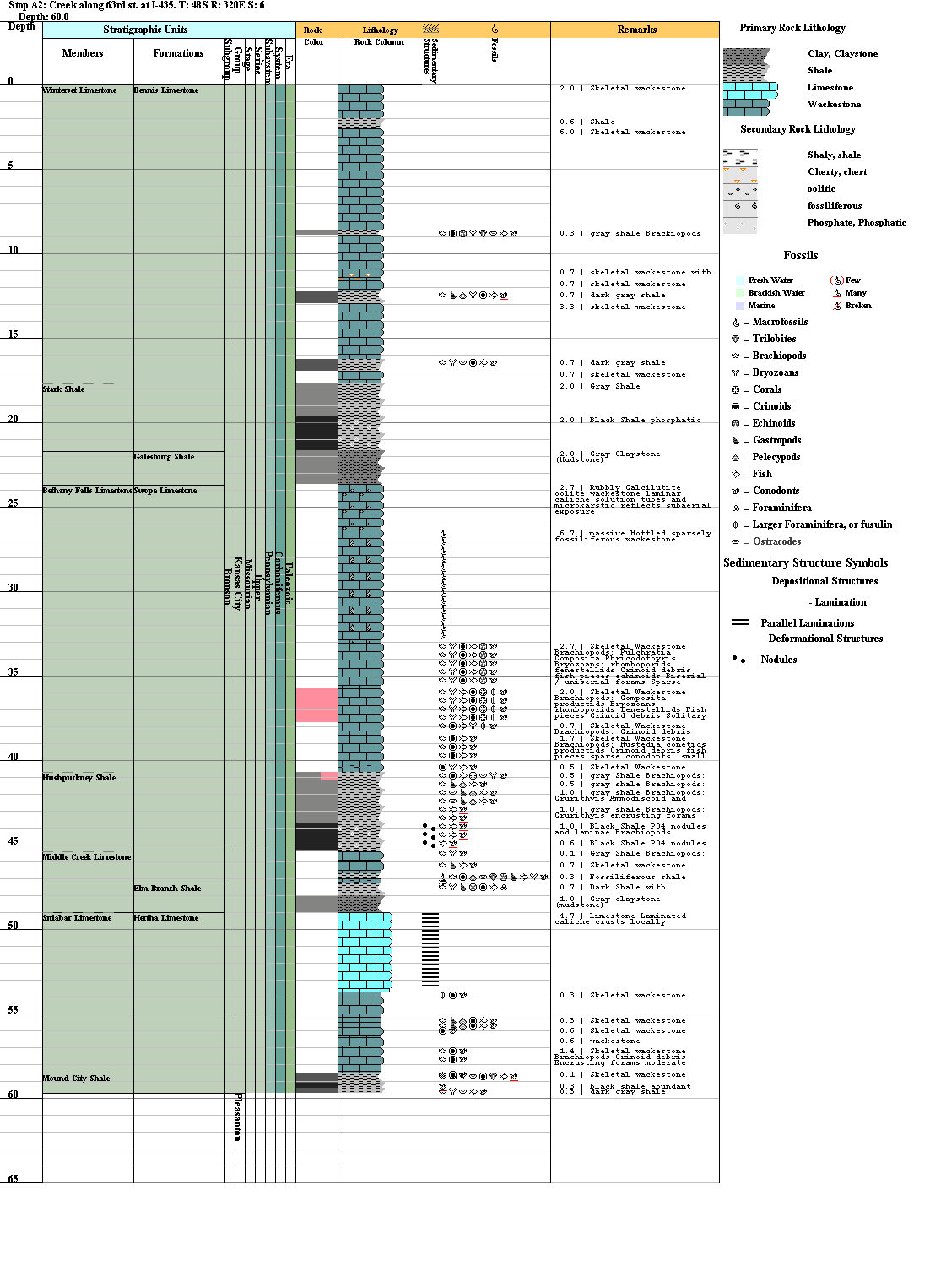 Missouri Stark and Galesburg Shale Collection - Member Collections ...