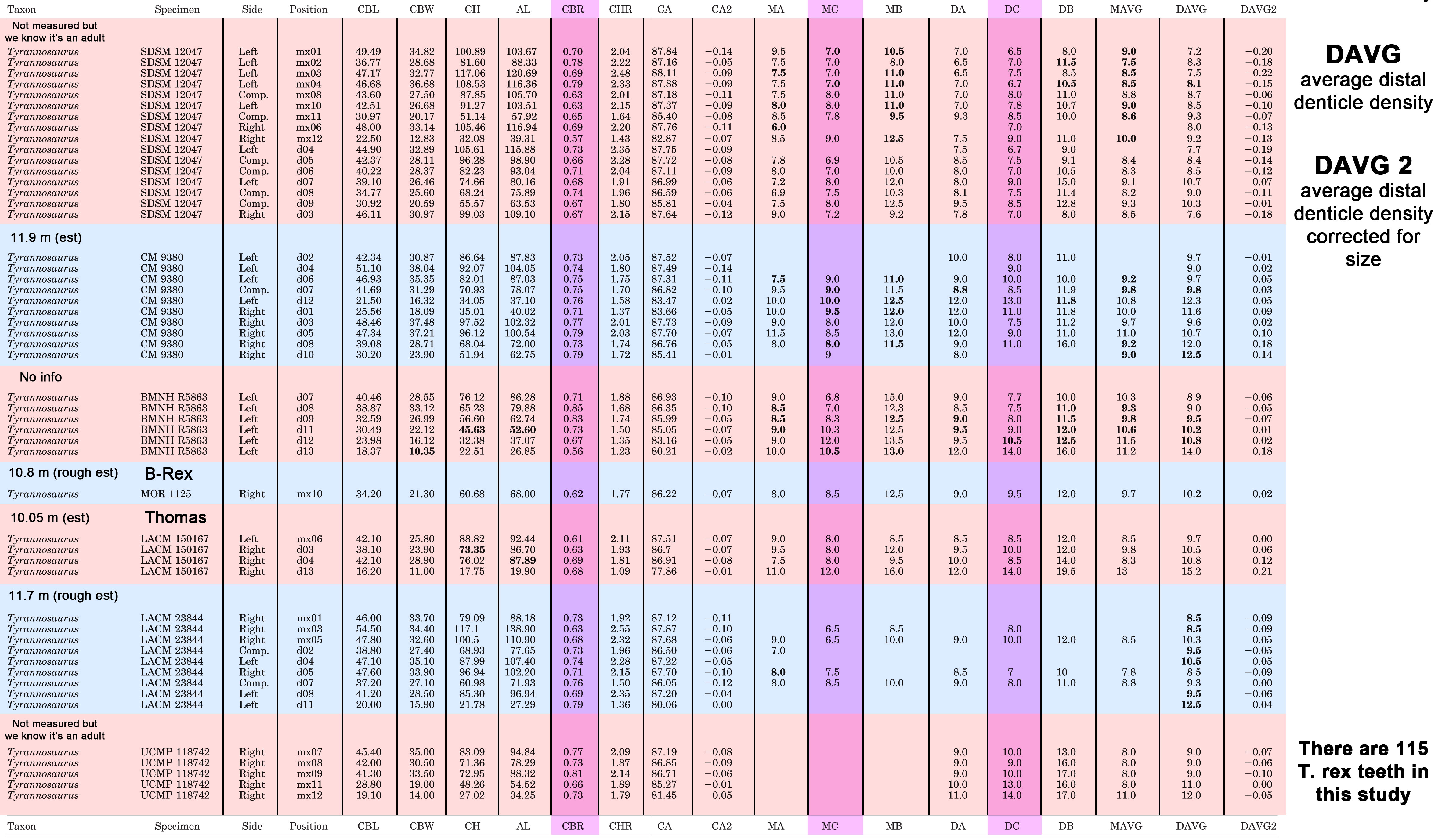 Here's a comprehensive list of T. rex teeth with specific measurements ...