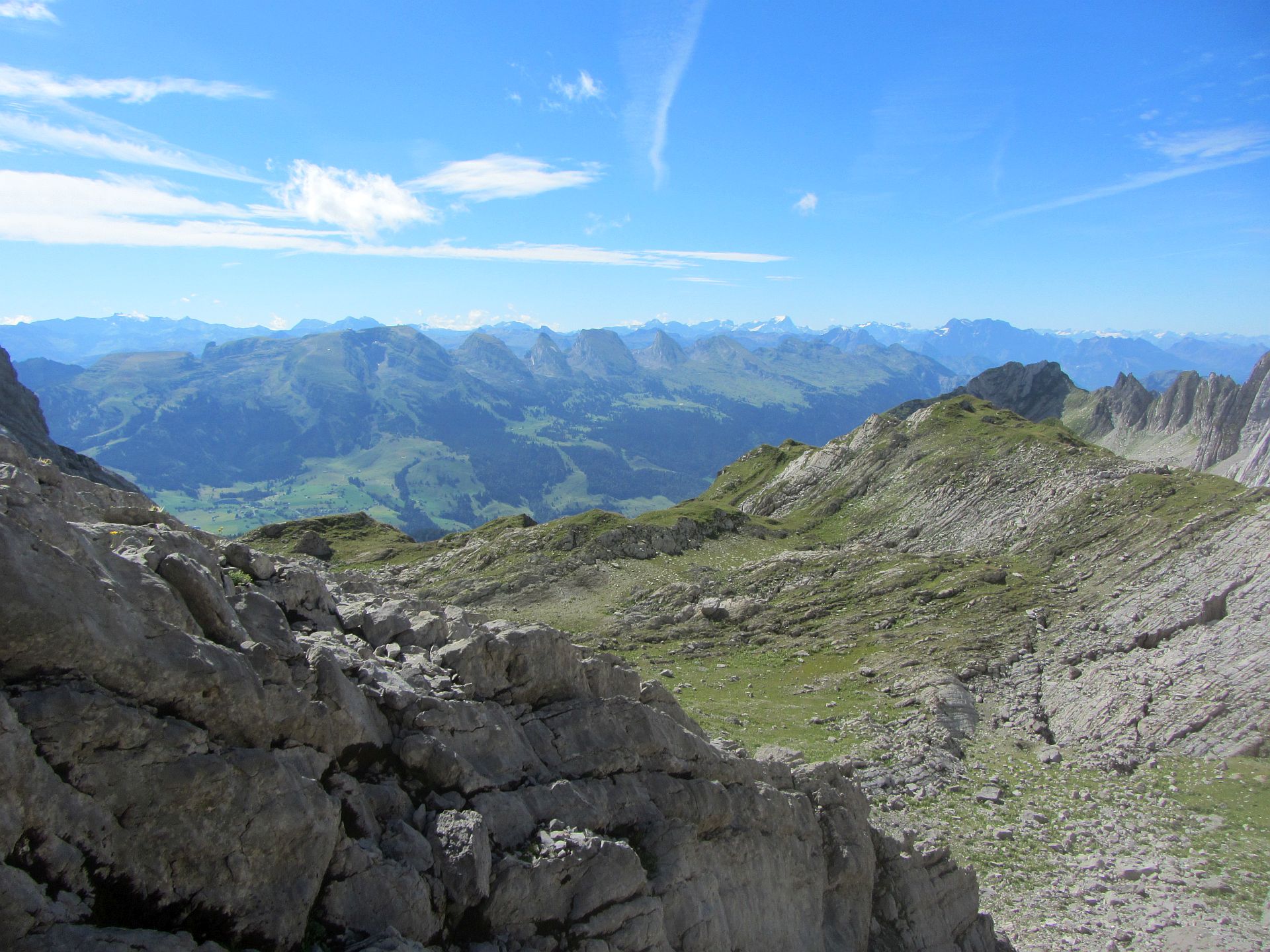 A Trip into the Alpine Cretaceous - Fossil Hunting Trips - The Fossil Forum
