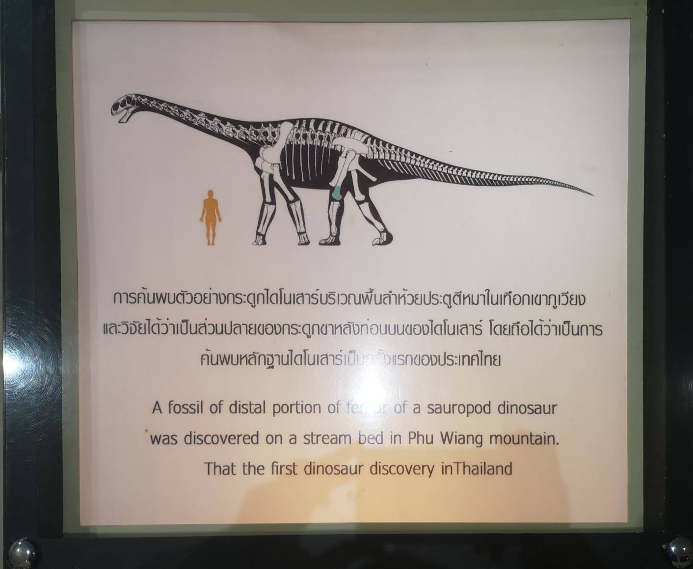 Phuwiang Dinosaur Museum , Thailand - A Trip to the Museum - The Fossil ...